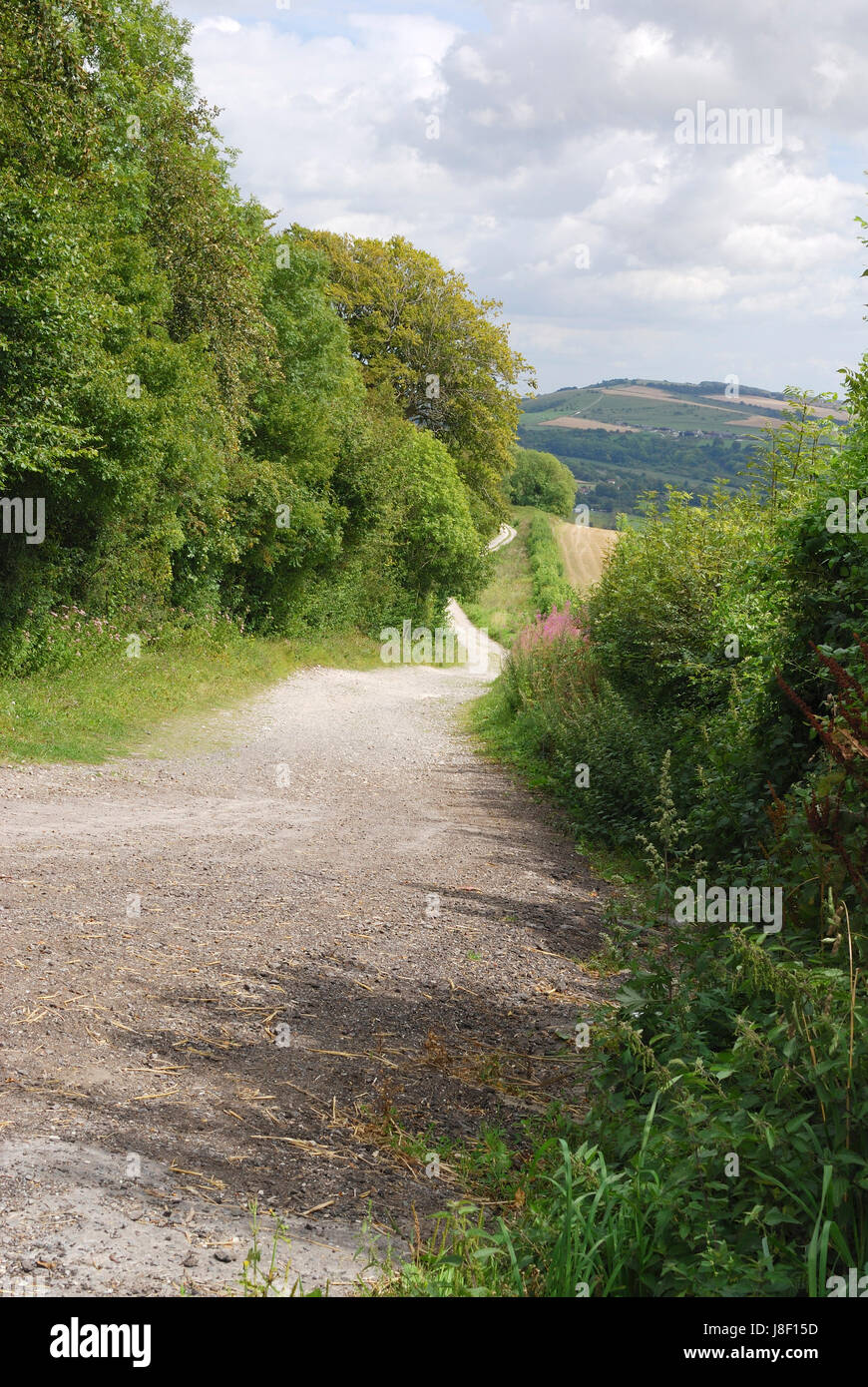 tree, england, landscape, scenery, countryside, nature, path, way ...