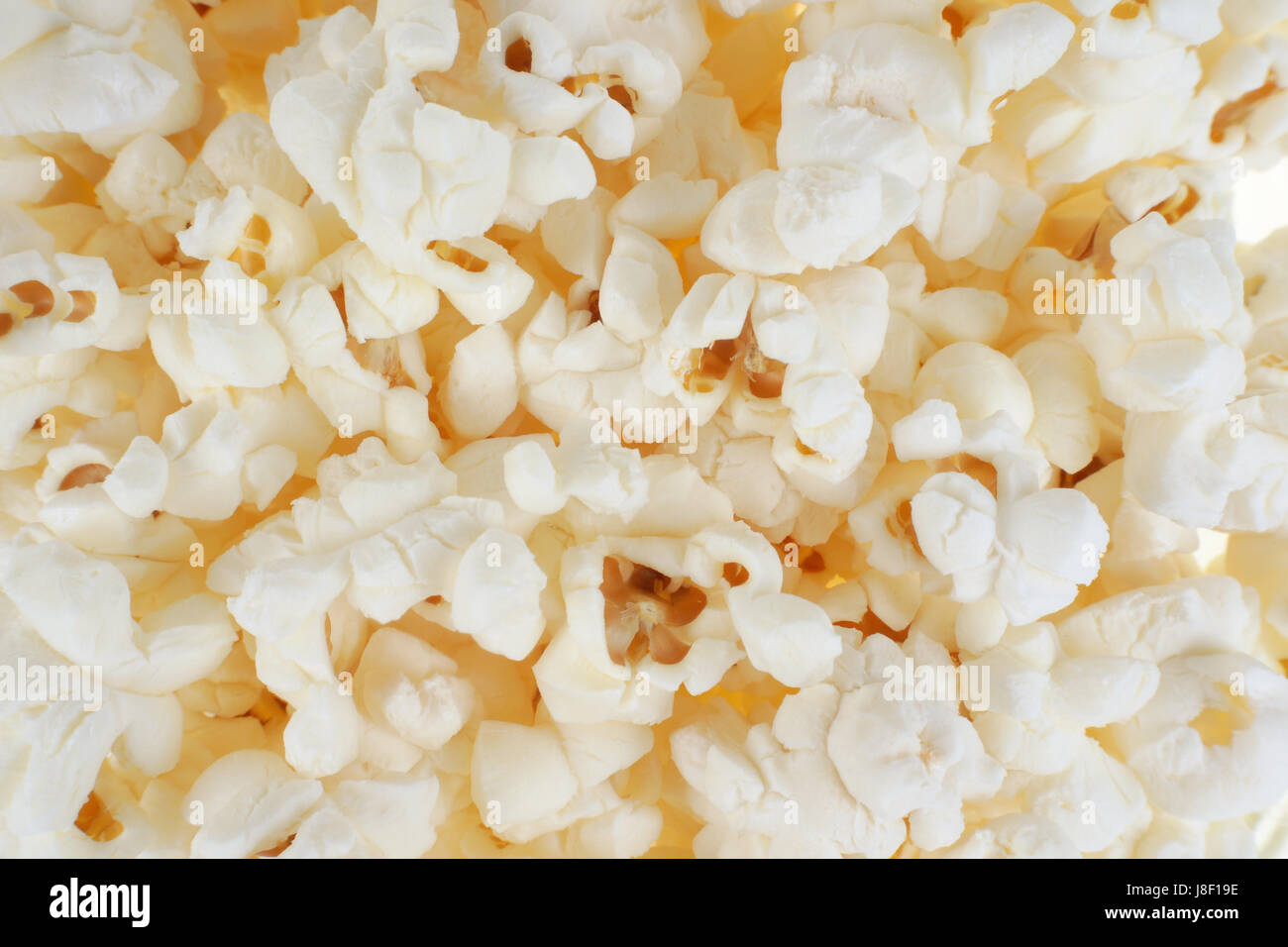 food, aliment, flavour, corn, kernel, thick, wide, fat, eating, eat ...