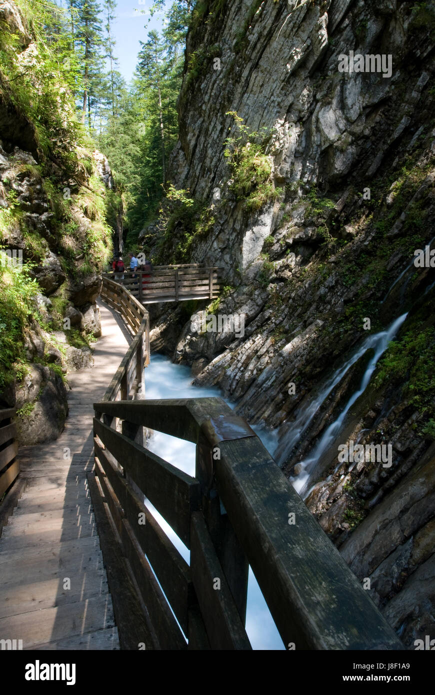 national park, tourism, bavaria, sightseeing, green, national park ...