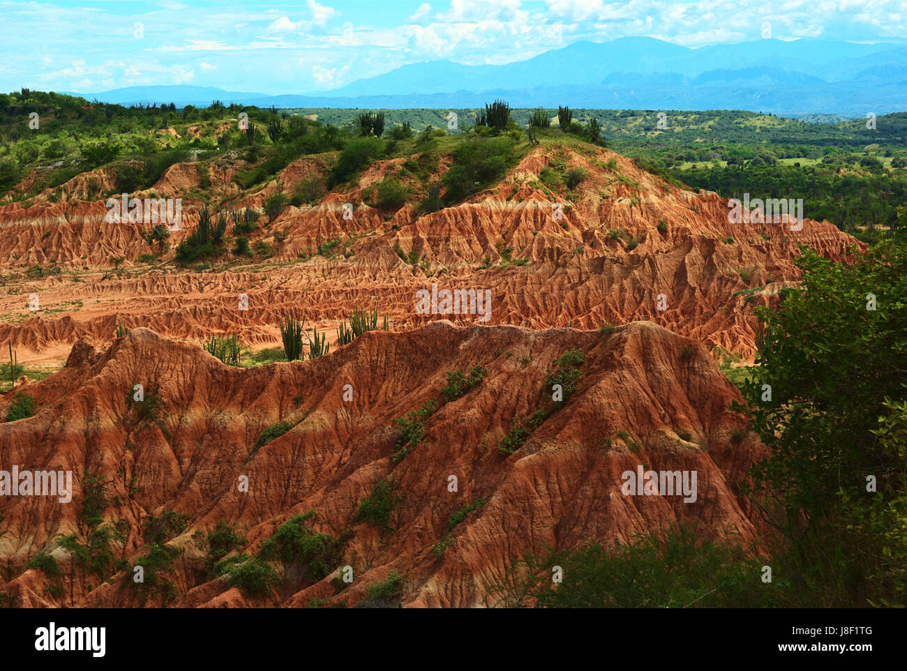 desert, wasteland, latin america, cactus, south america, colombia ...