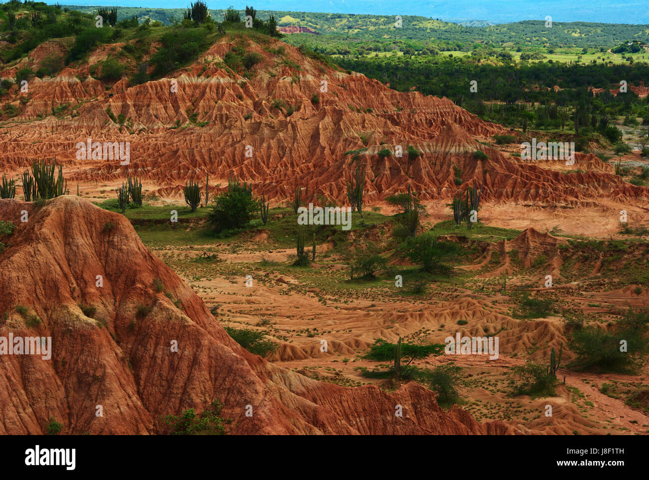 desert, wasteland, latin america, cactus, south america, colombia ...