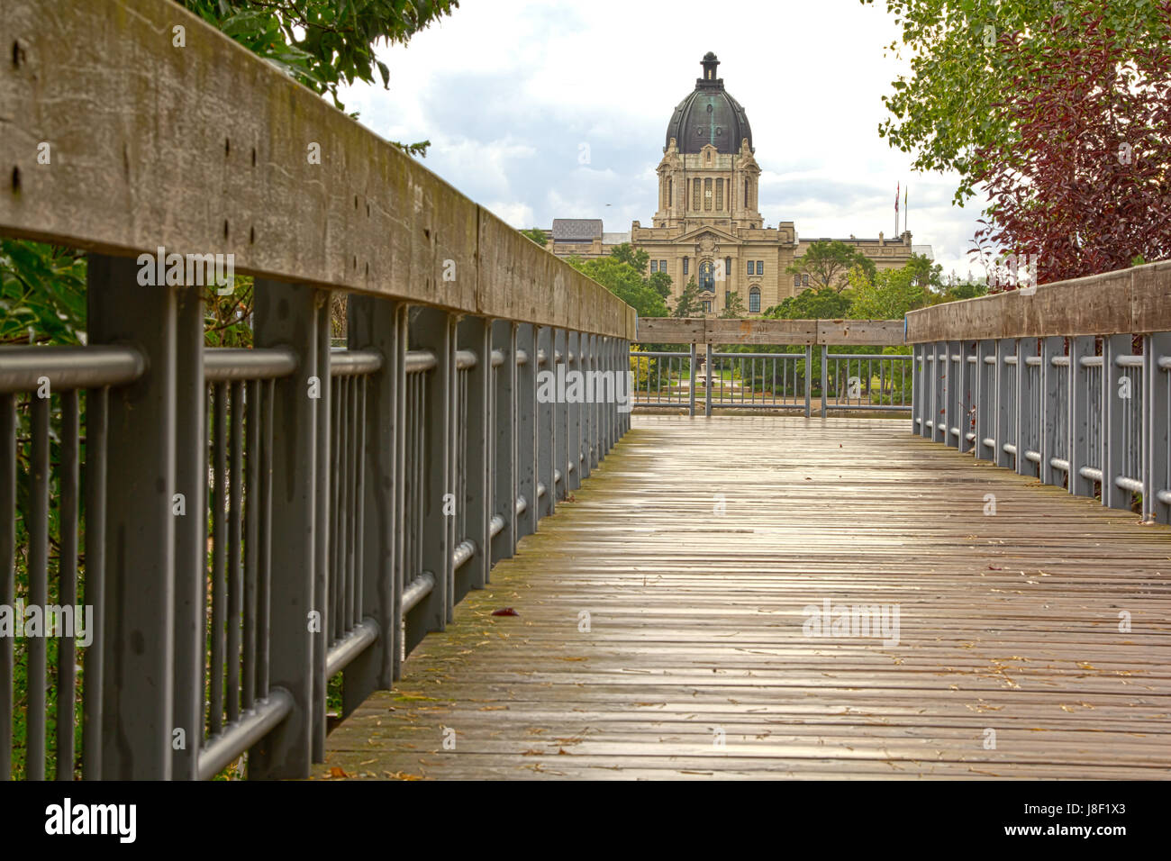 tree, trees, bridge, canada, walkway, leading, building, tree, trees ...