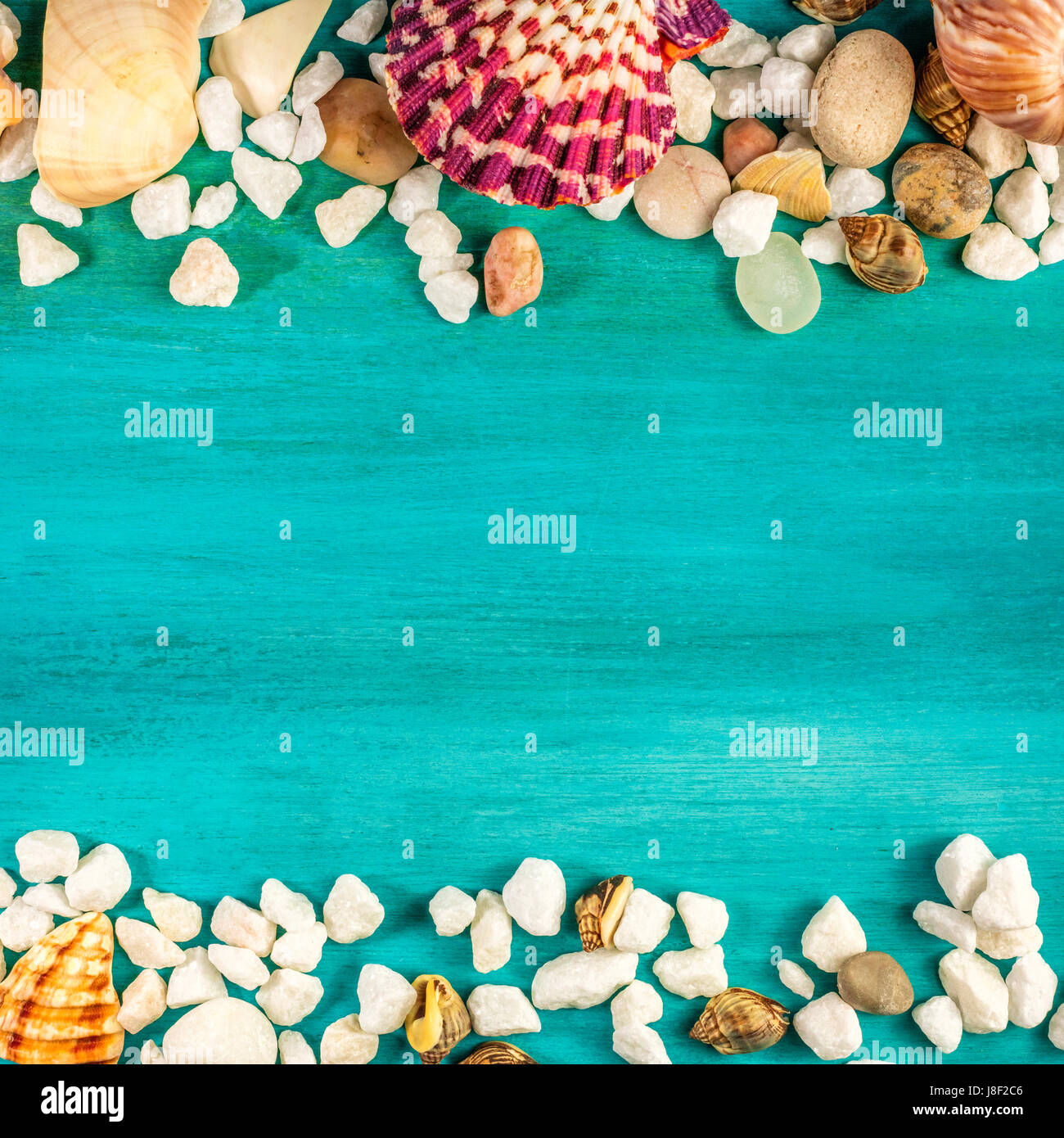 A square overhead photo of sea shells and pebbles, forming a frame on a ...