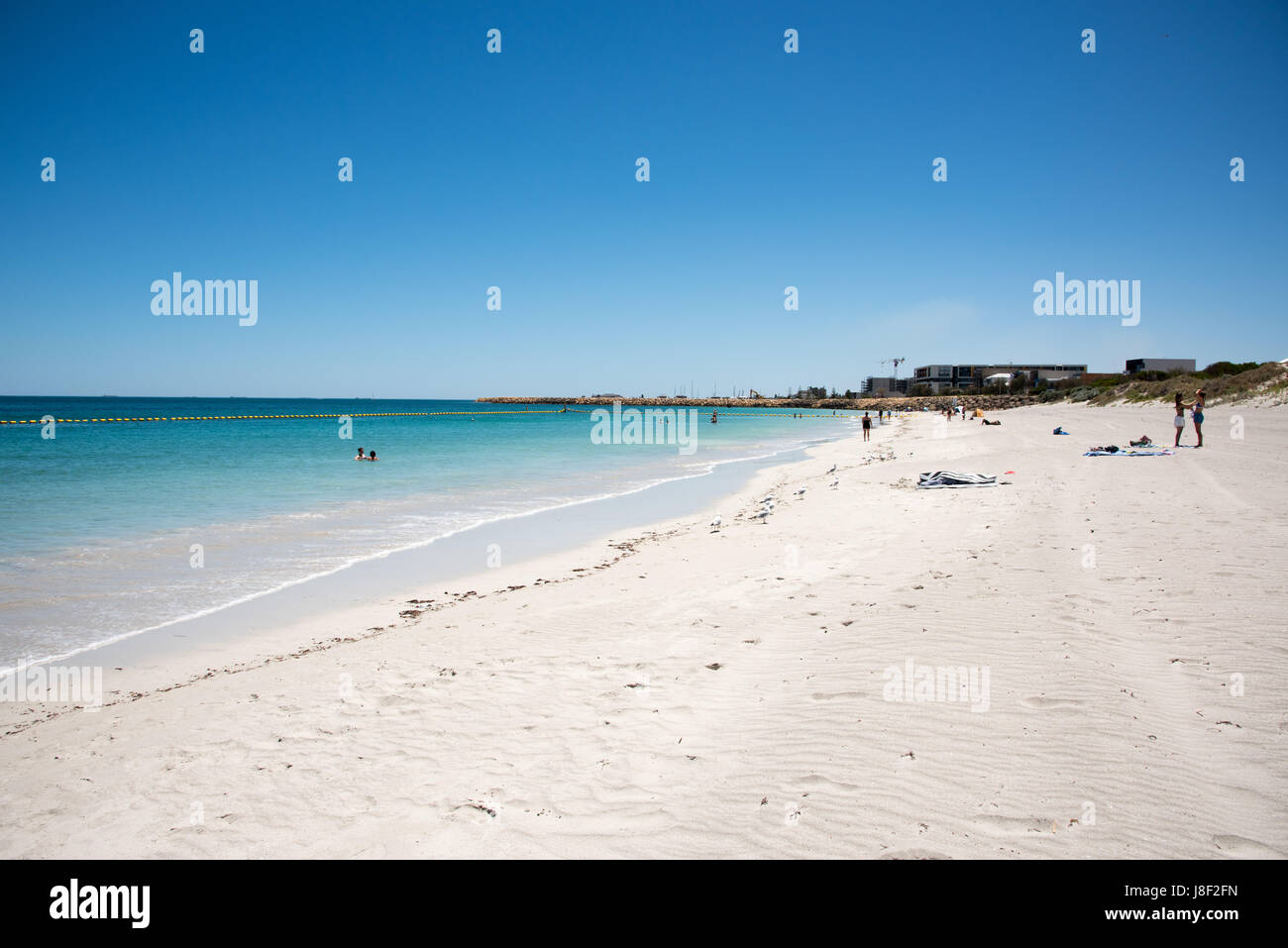 Coogee,WA,Australia-November 14,2016: People swimming in the shark net ...