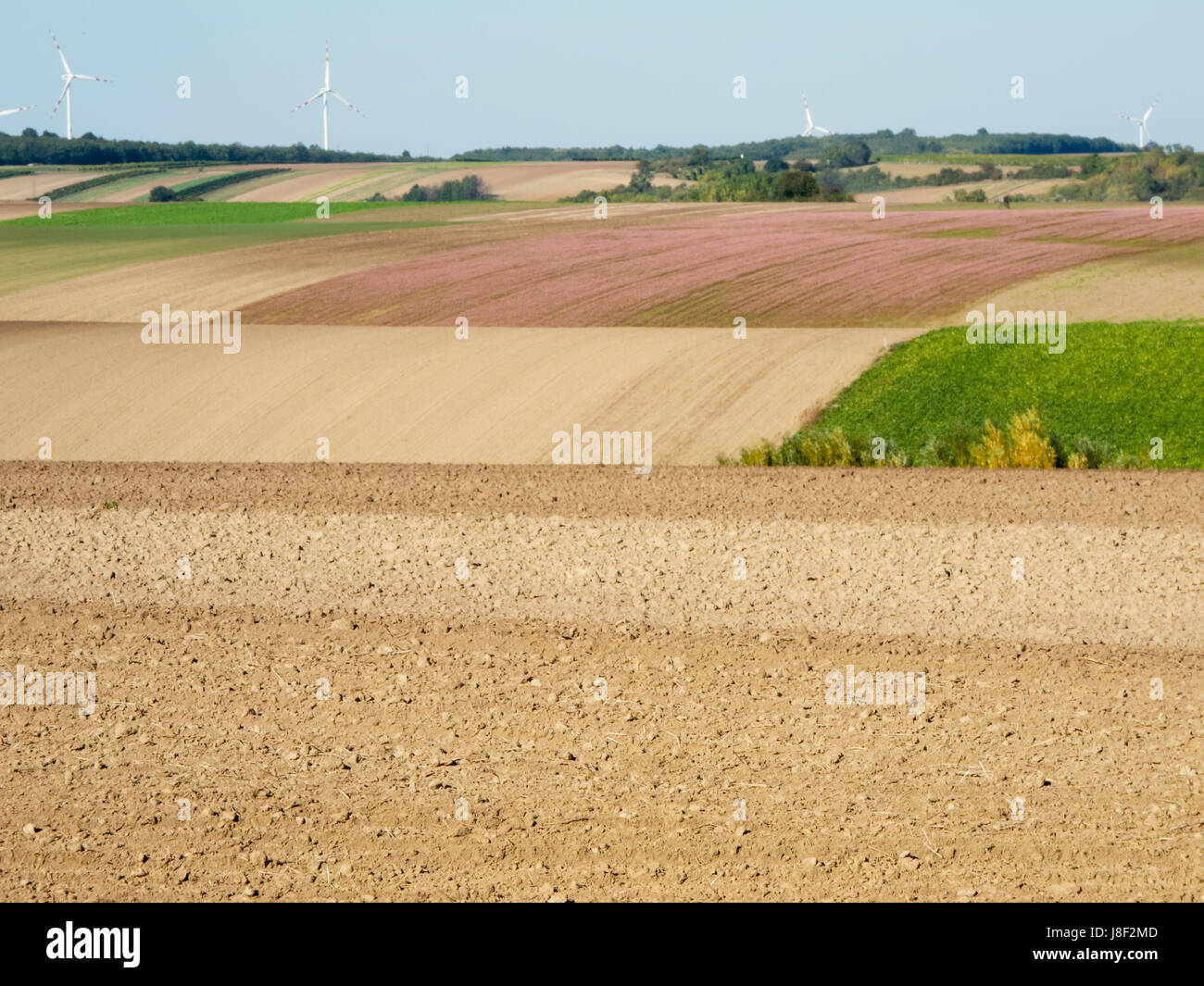 agriculture, farming, acre, scenery, countryside, nature, agriculture ...