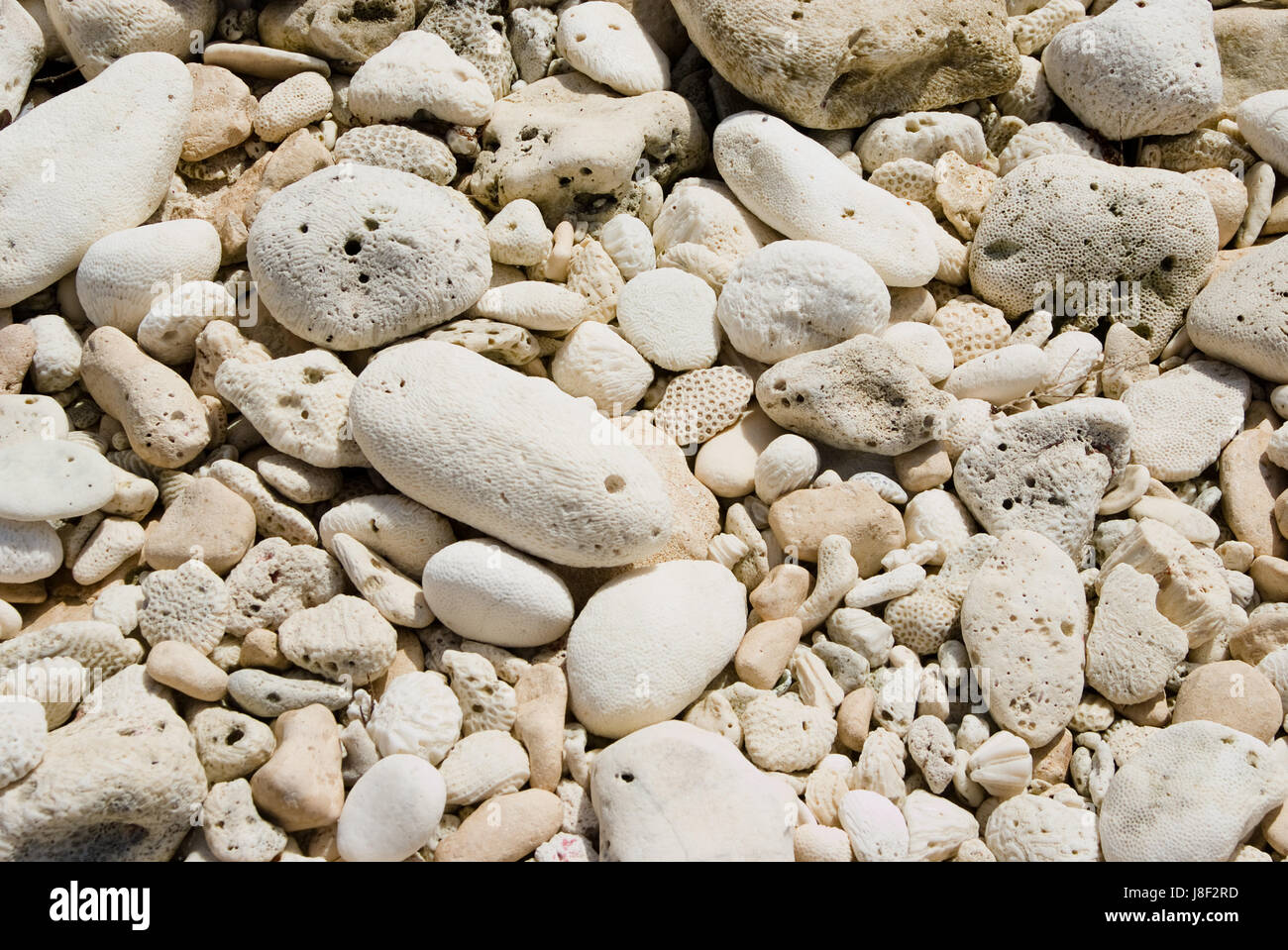 stone, ground, soil, earth, humus, beach, seaside, the beach, seashore ...