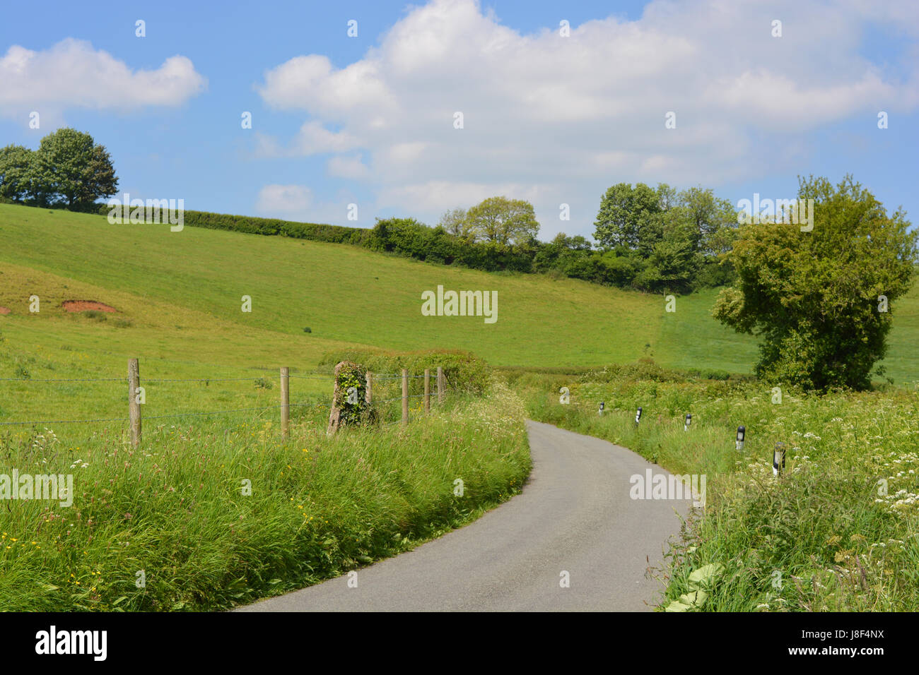 English country lane summer hi-res stock photography and images - Alamy