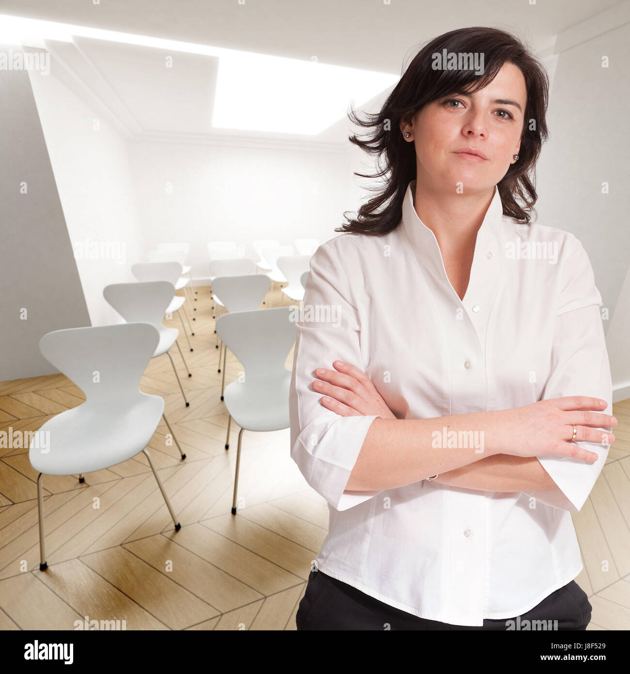 woman, seminar, conference room, presentation, education, lady, brown ...