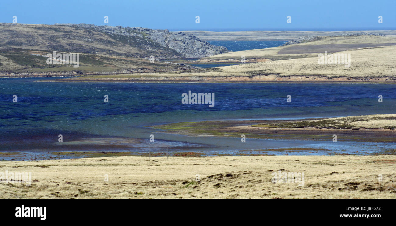 Falkland Islands - Bluff Cove Stock Photo - Alamy