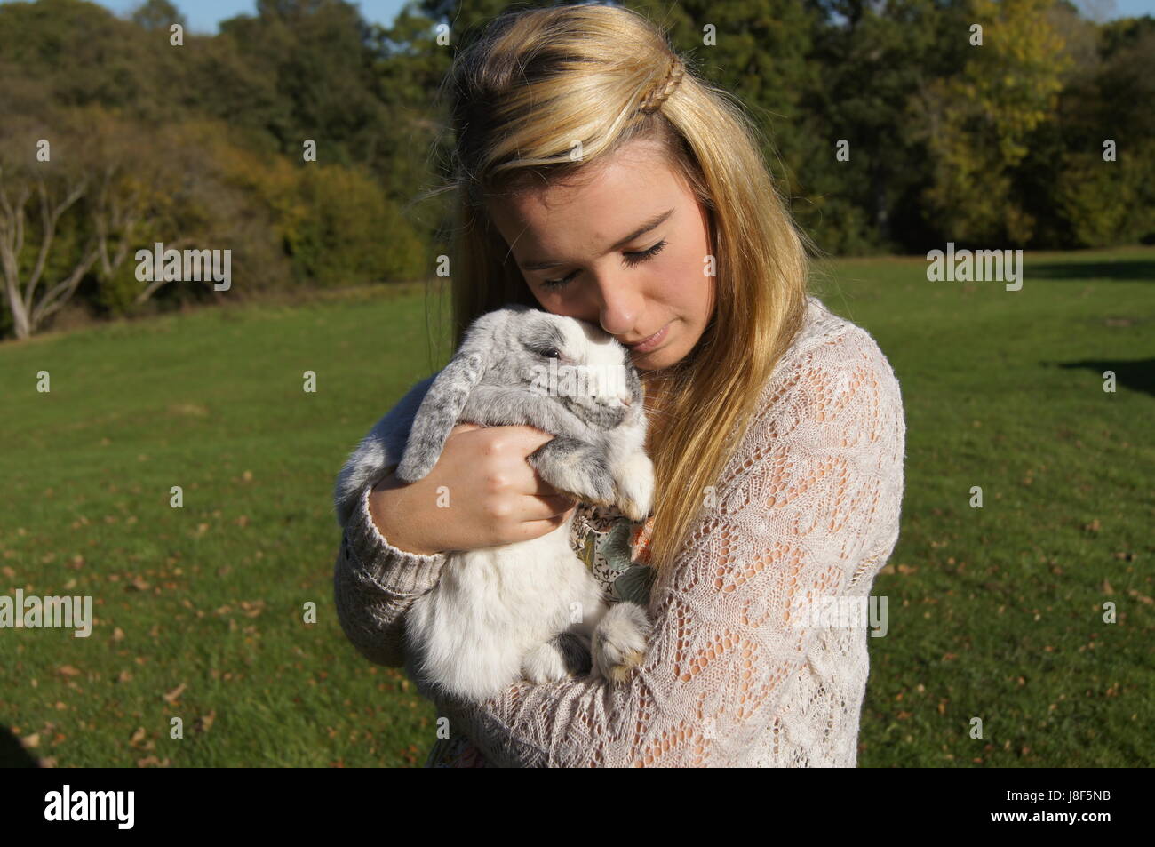 pet, cuddle, affection, rabbit, outside, dapper, accosting, pretty ...