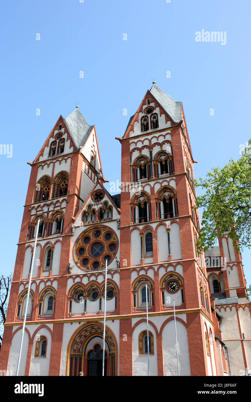 church, cathedral, rosette, gothic, tower, historical, church, tree ...