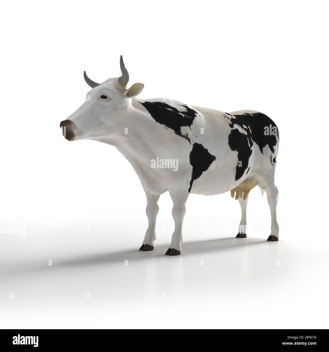 Asia cow Cut Out Stock Images & Pictures - Alamy