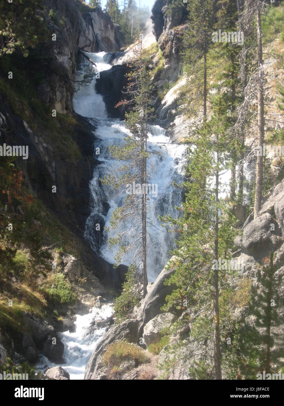 Evergreen cascades waterfall hi-res stock photography and images - Alamy