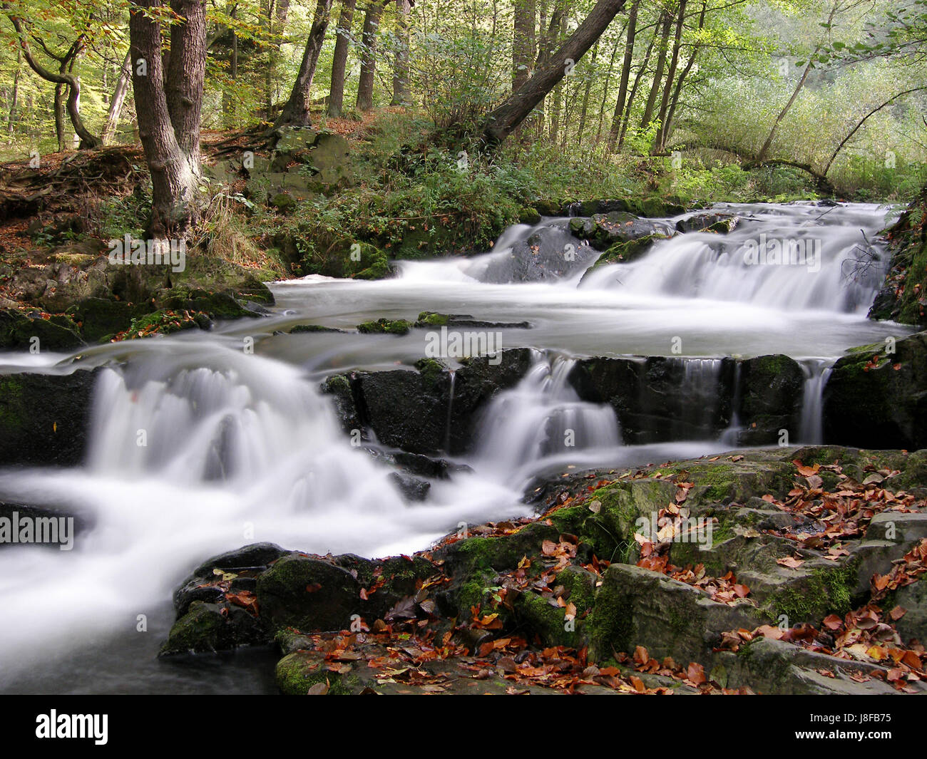 waterfall, cascades, torrent, current of the river, tree, trees, flow ...