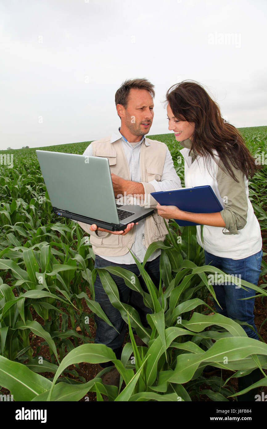 woman, laptop, notebook, computers, computer, food, aliment, job ...