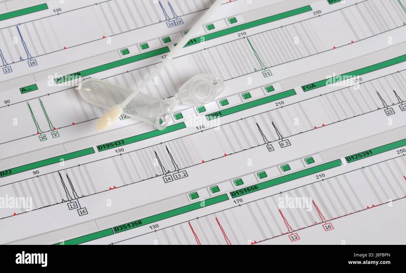 dna profile - genetic fingerprint Stock Photo - Alamy
