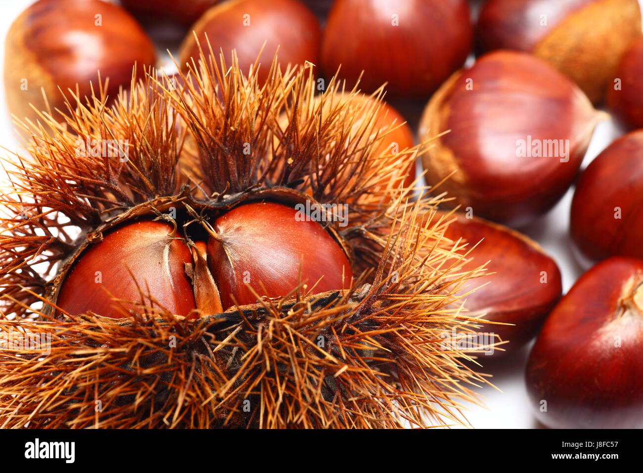 food, aliment, brown, brownish, brunette, asia, japanese, chestnut ...
