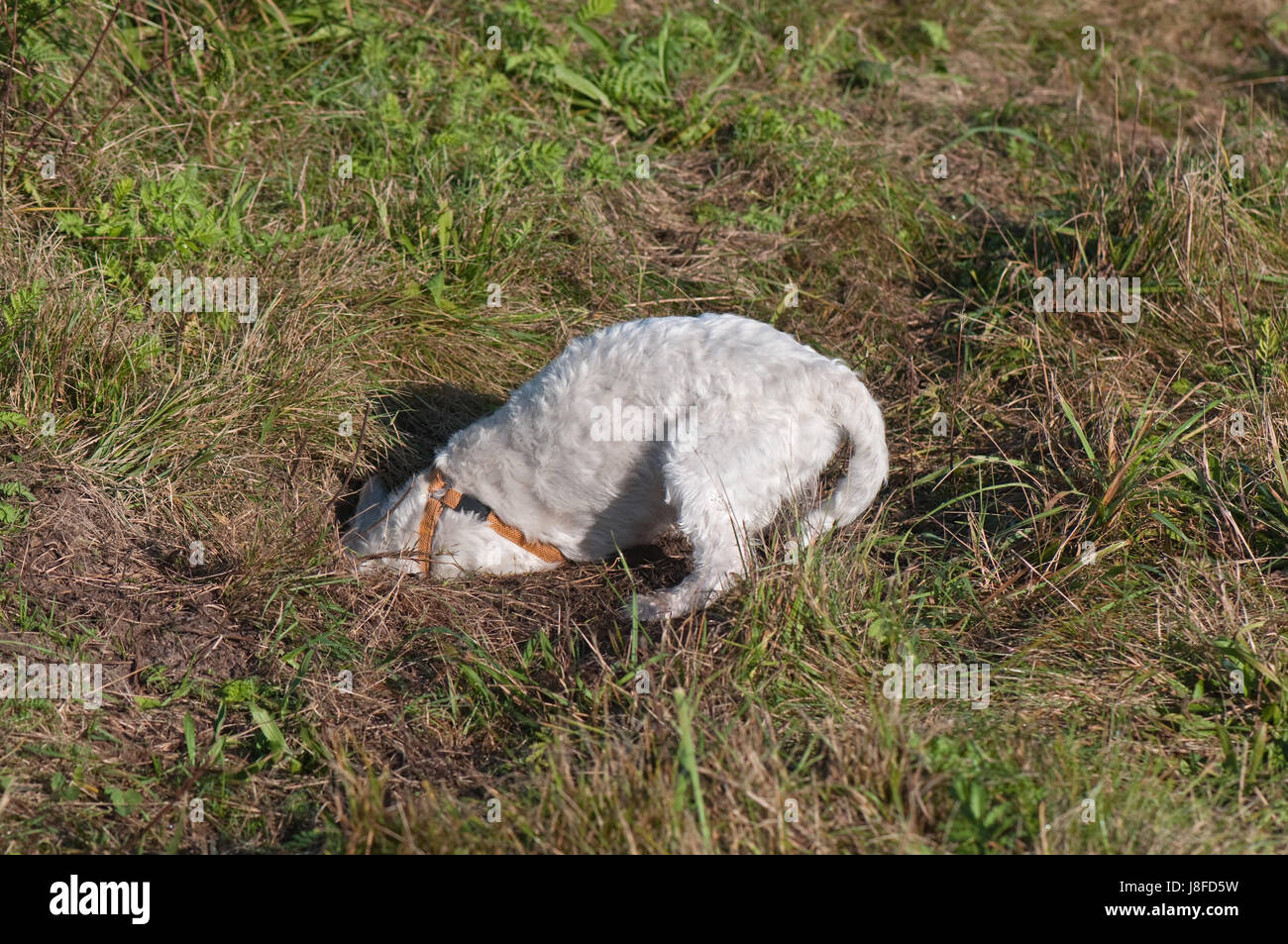 Draught hole hi-res stock photography and images - Alamy