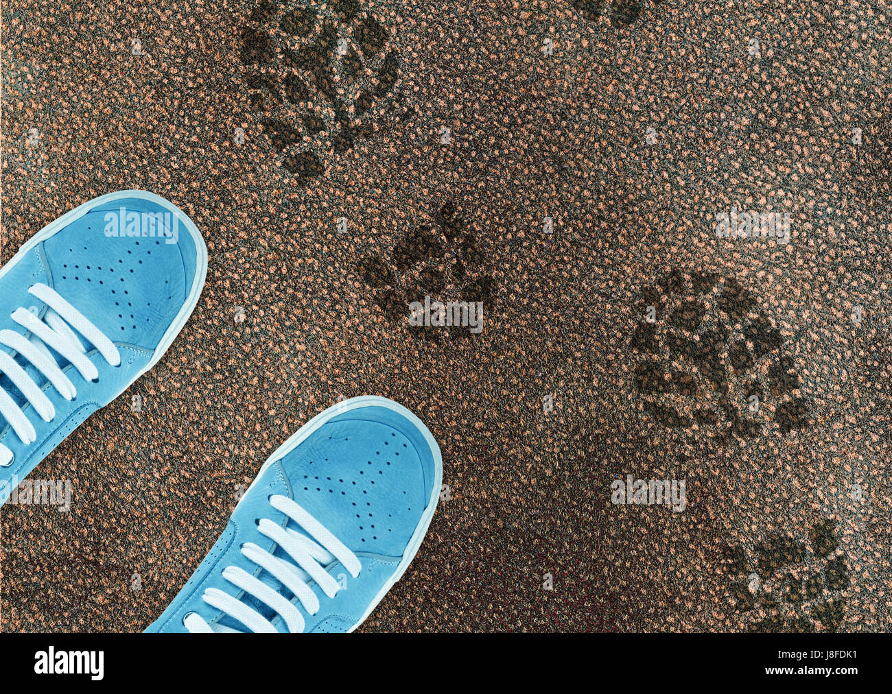 boot, blue, walk, go, going, walking, objects, culture, sport, sports ...