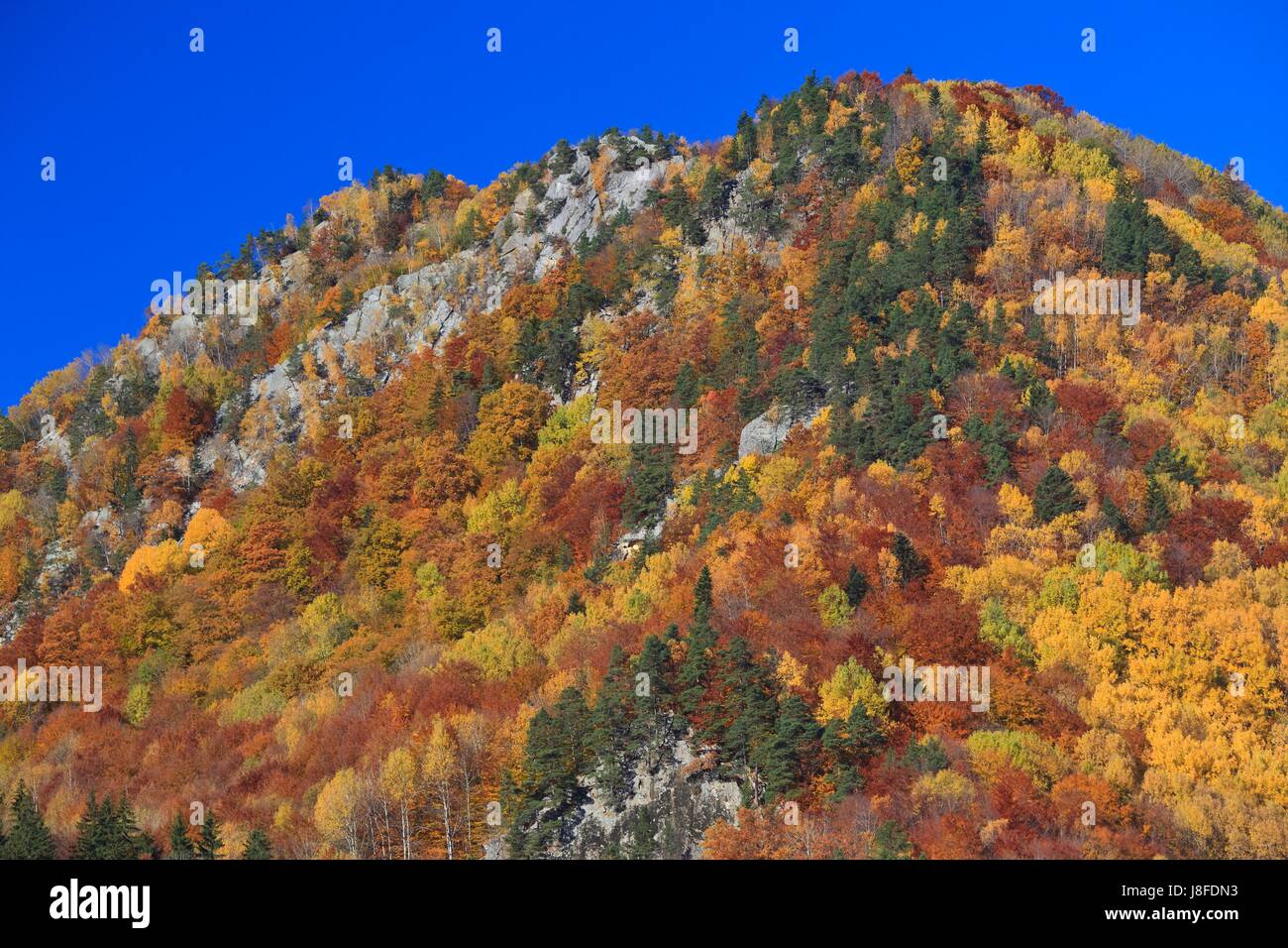 blue, beautiful, beauteously, nice, environment, enviroment, colour ...