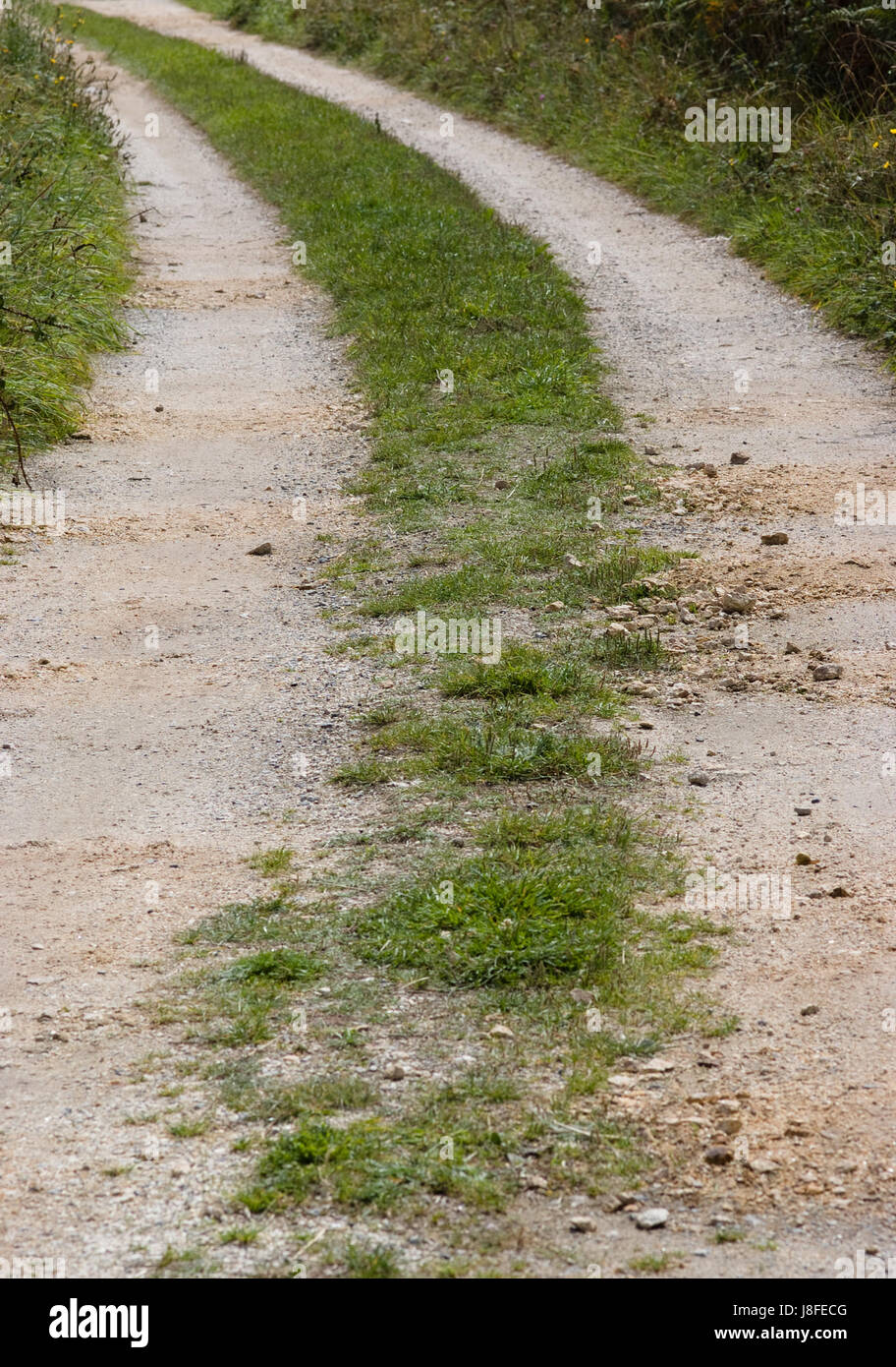 dirt road, summer, summerly, curve, road, rural, path, way, street ...