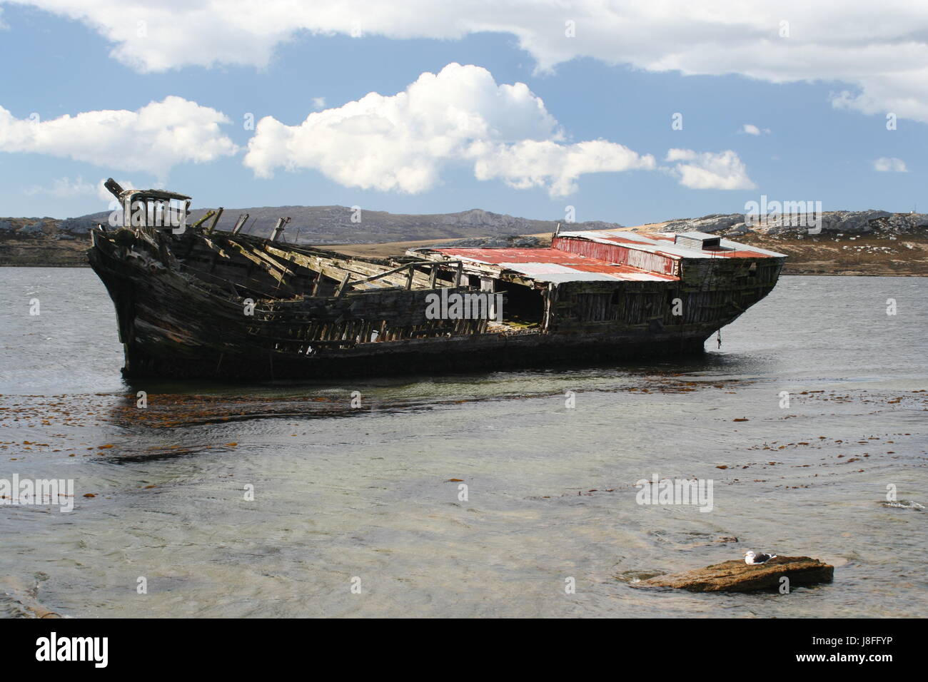 Falkland Islands Wreck of the Jhelum Stock Photo - Alamy
