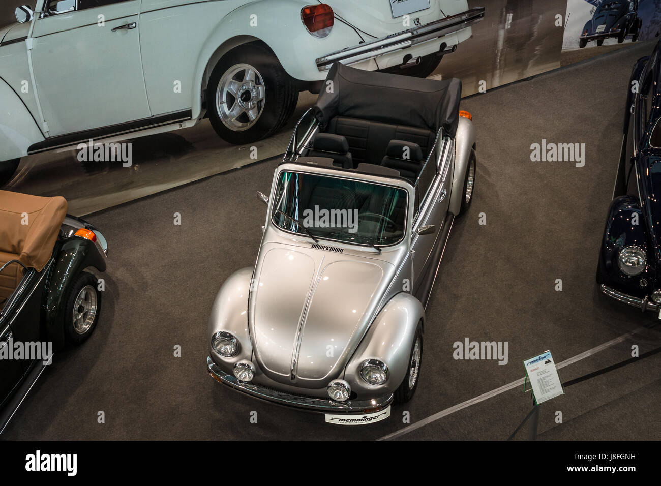 Beetle top view hi-res stock photography and images - Alamy