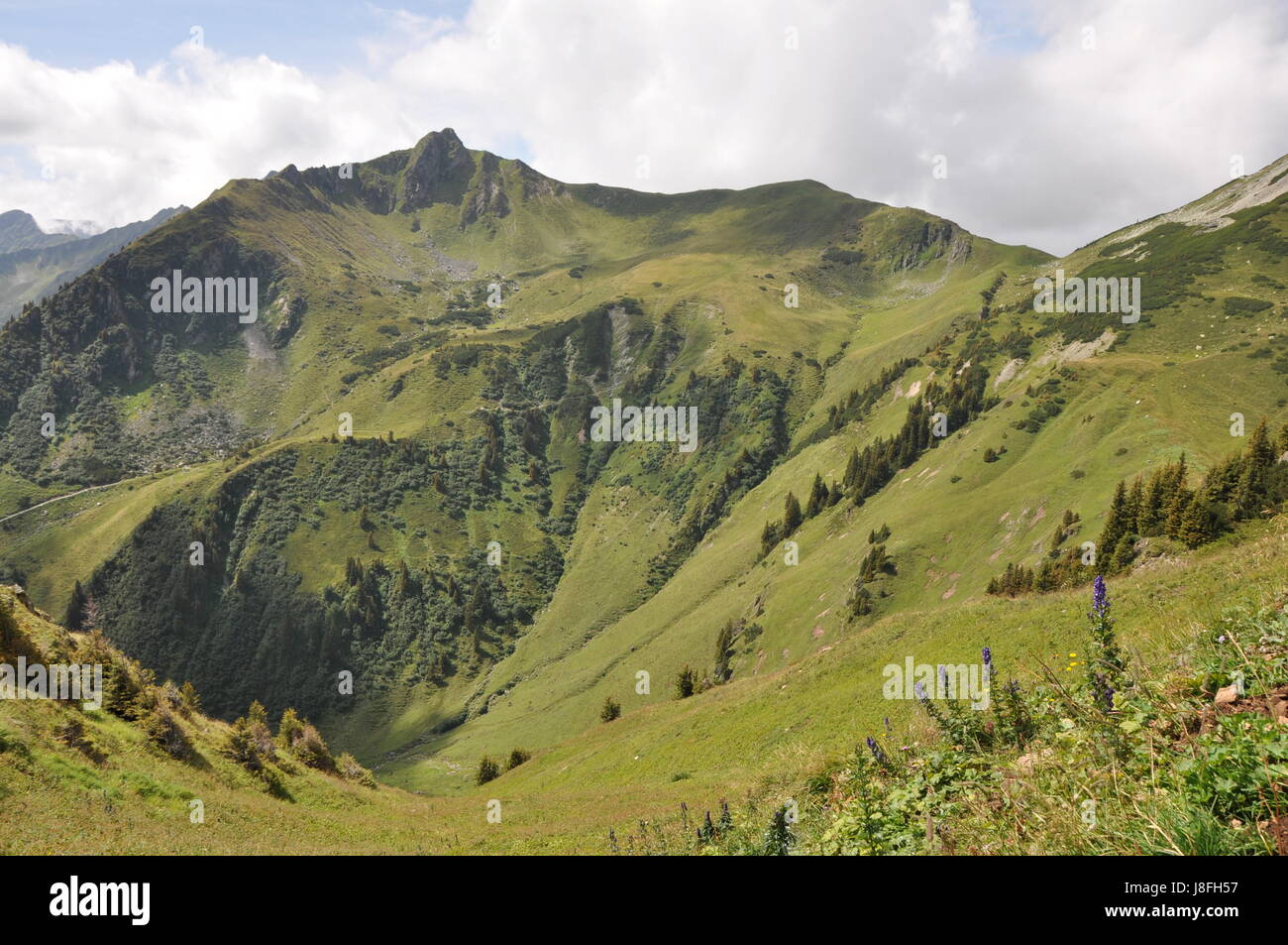 green, alps, hike, go hiking, ramble, alp, austrians, lust, addiction ...