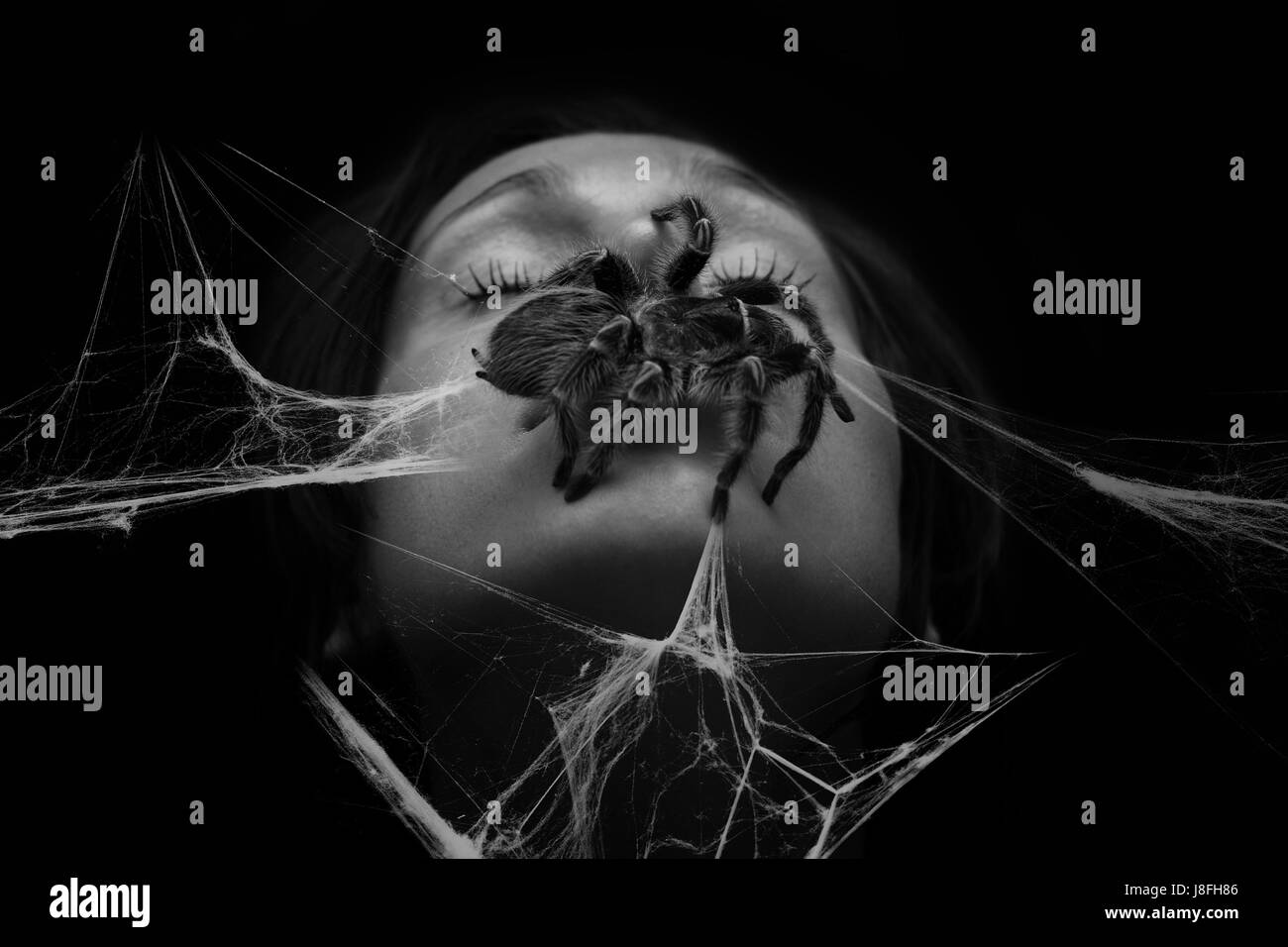 spider kiss Stock Photo - Alamy