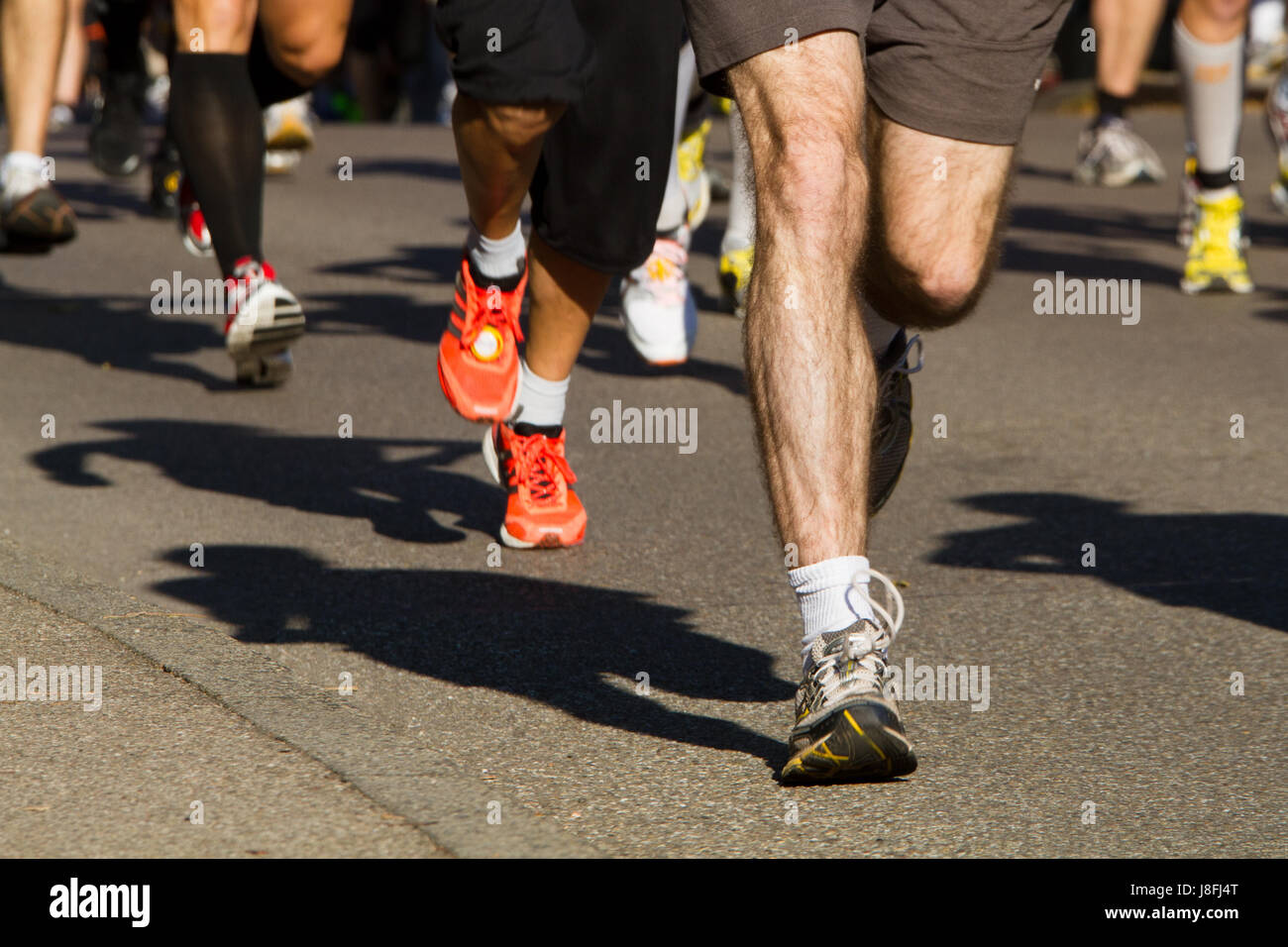 sport, sports, perseverance, contest, jog, marathon, fitness, fit ...