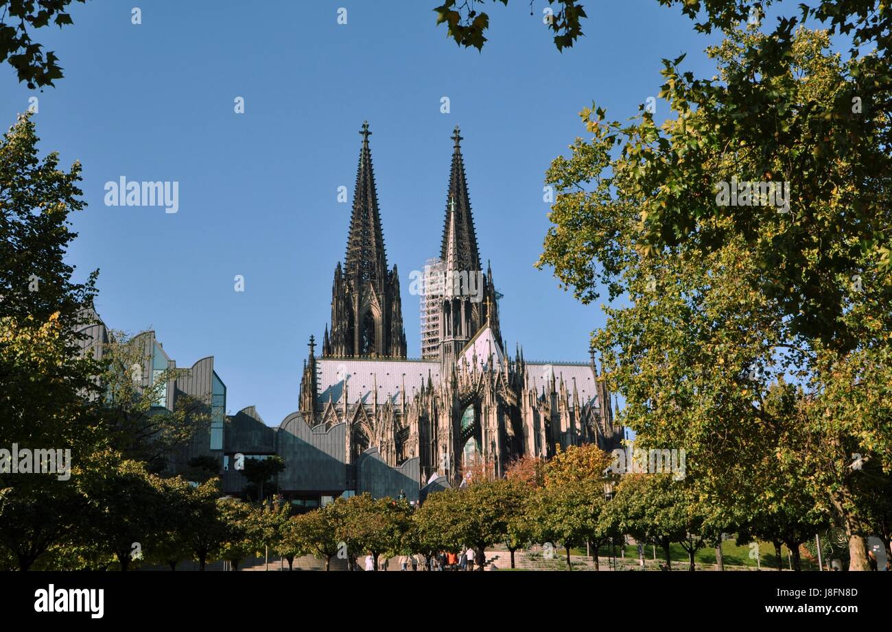 cathedral, churches, catholically, church, tree, trees, heaven ...