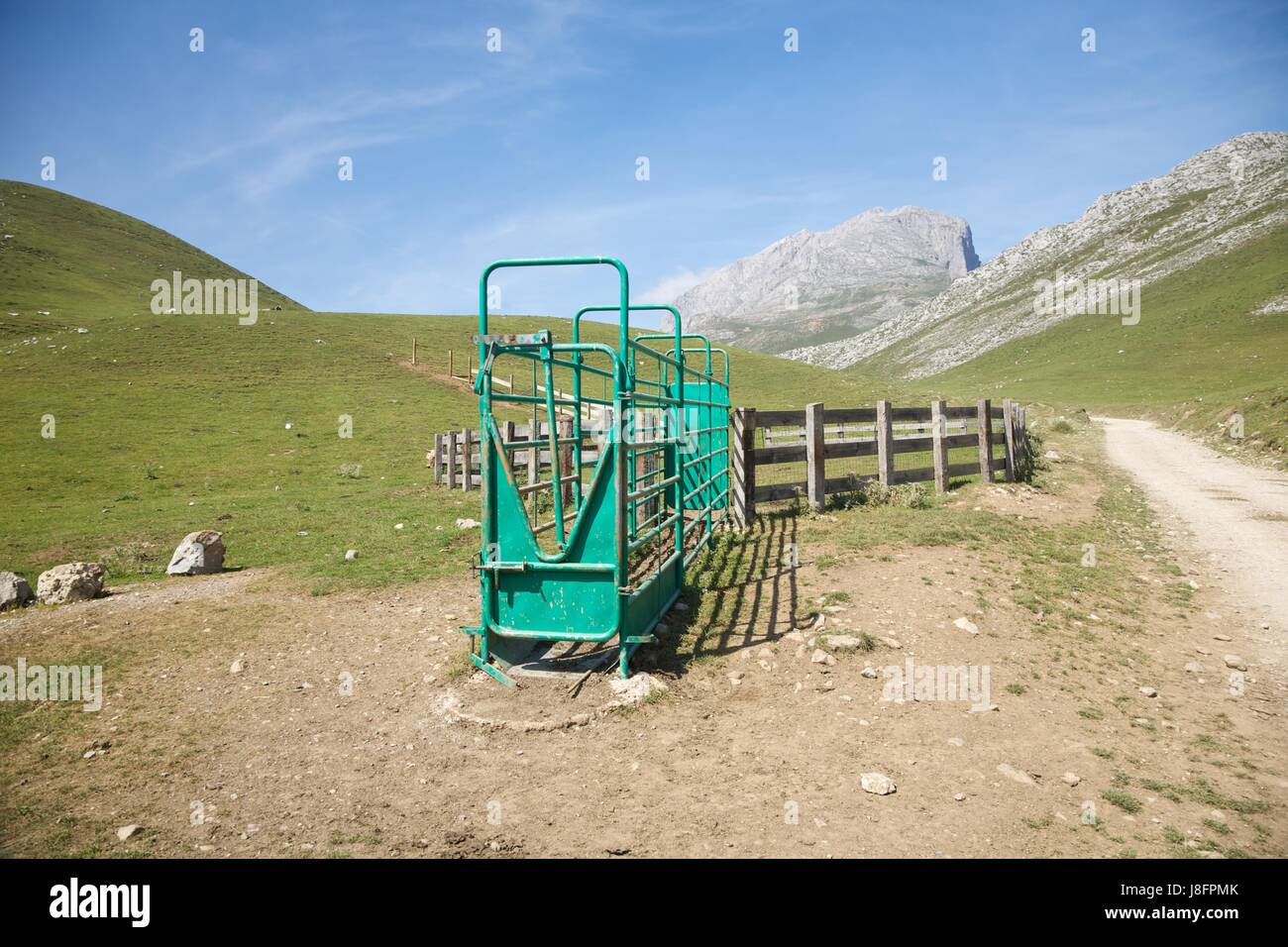 industry, cow, livestock, farm, country, enclosure, rural, scenery ...