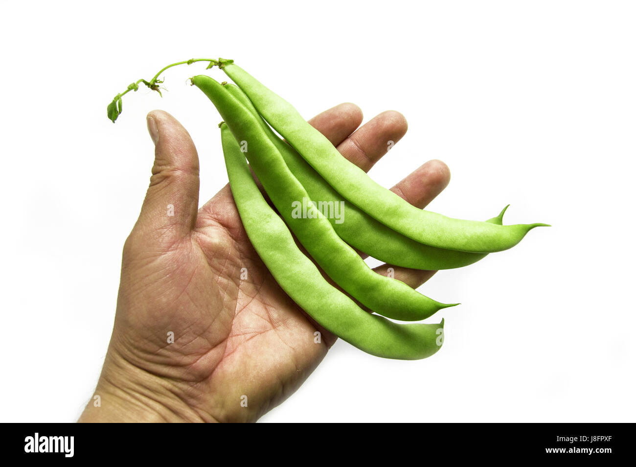 Abundant fiber source green bean for health Stock Photo - Alamy