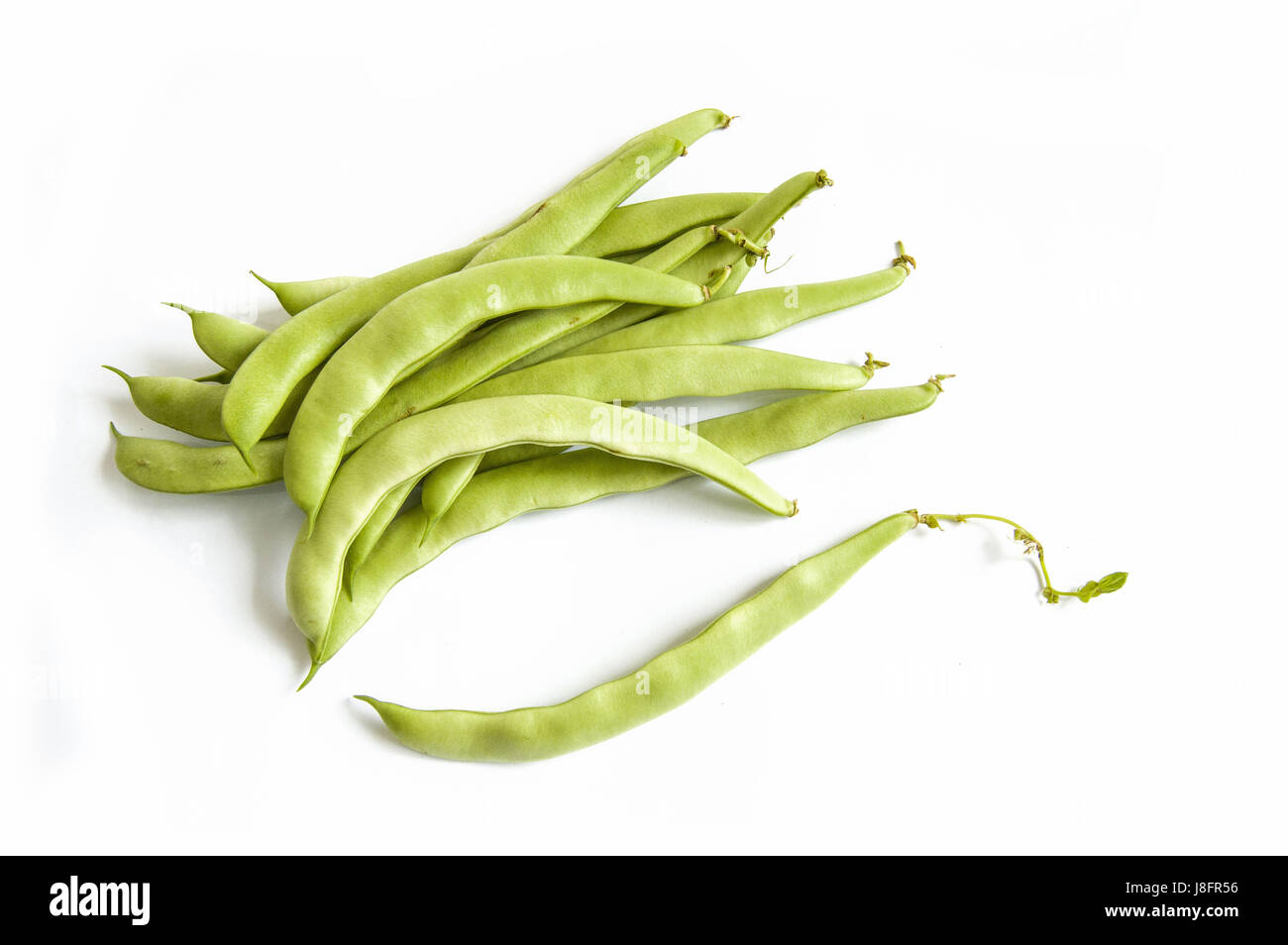 Growing red green beans Cut Out Stock Images & Pictures - Alamy