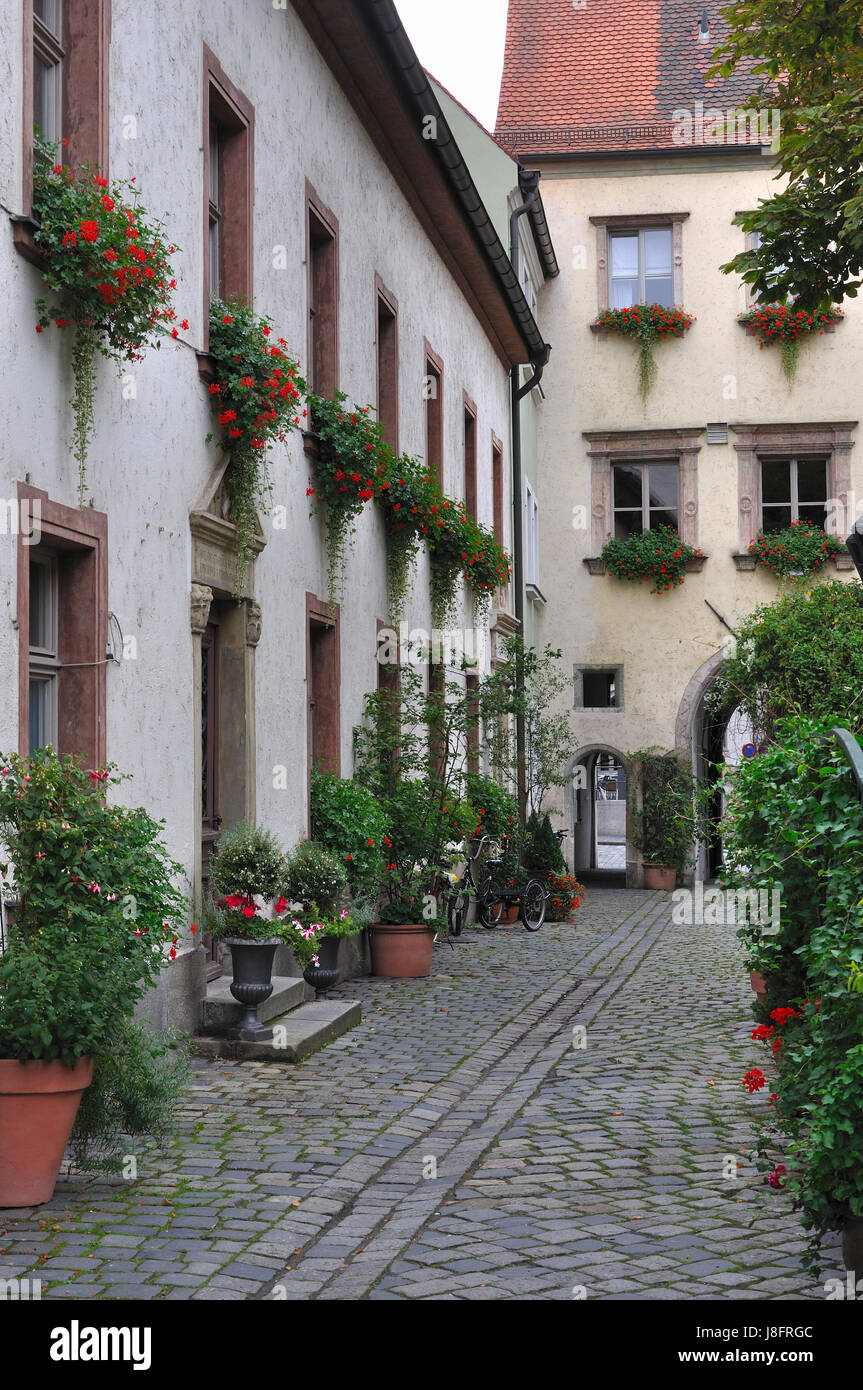 historical, culture, antique, blank, european, caucasian, europe ...