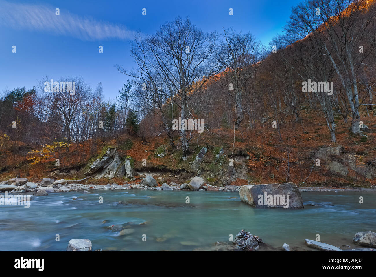 blue, beautiful, beauteously, nice, environment, enviroment, tree, park ...