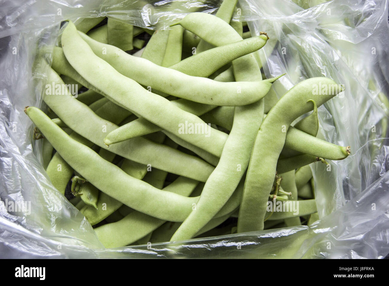Green bean sample on white background, green bean pictures Stock Photo ...
