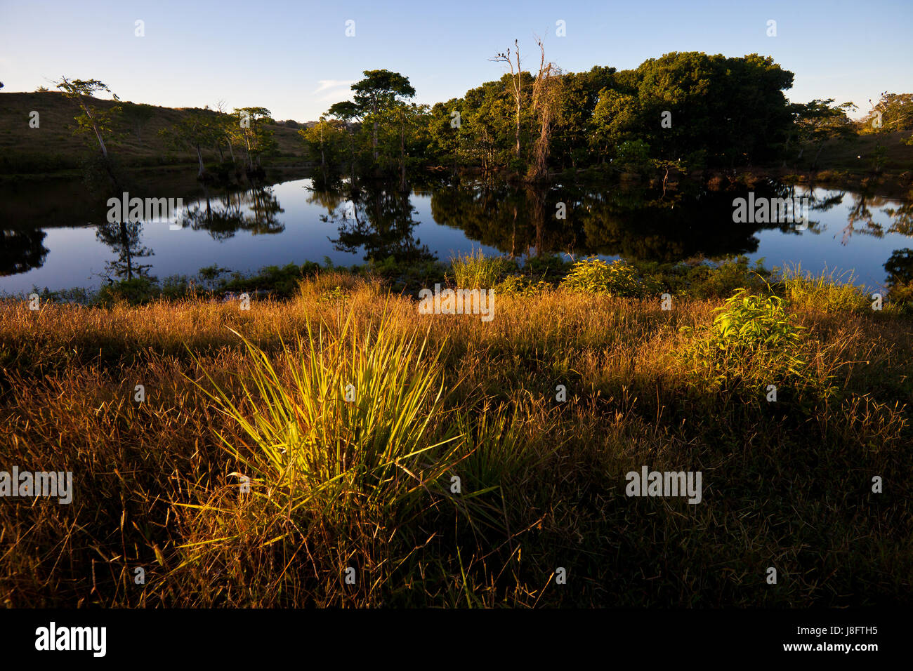 Early morning light at Quebro, Veraguas prvince, Republic of Panama ...