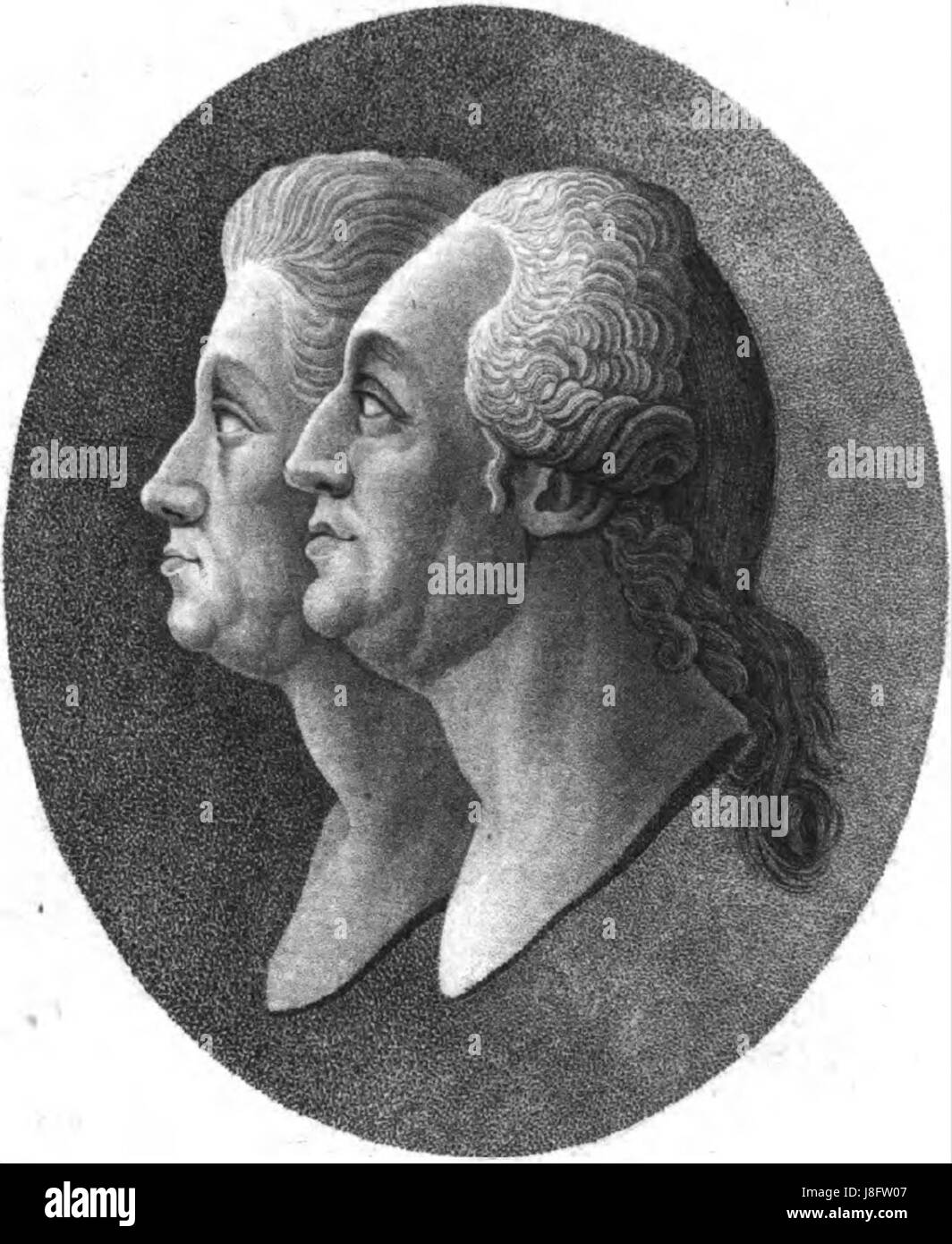 Johann Reinhold and Georg Forster were notable German explorers and ...