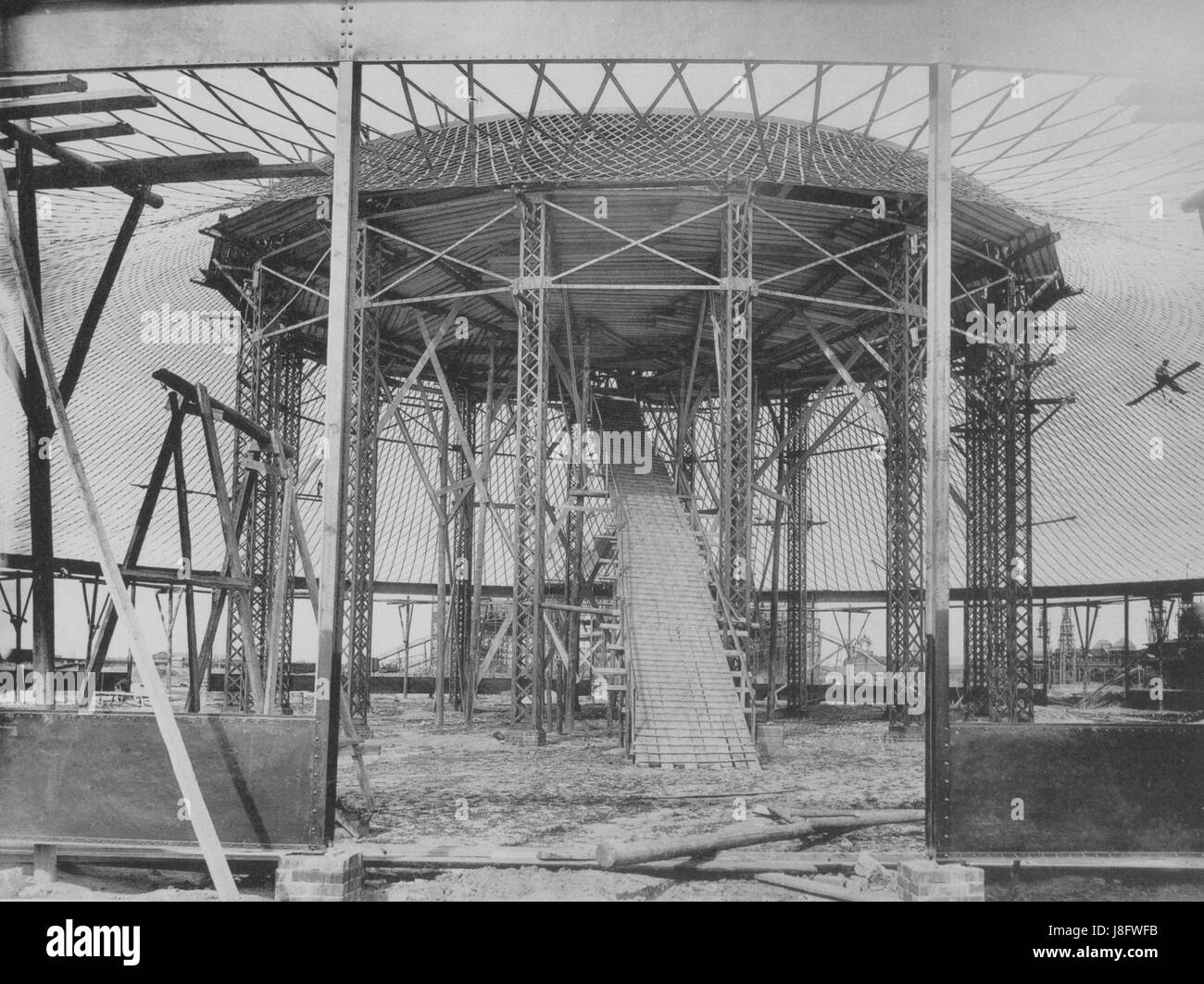 Shell structure hi-res stock photography and images - Alamy