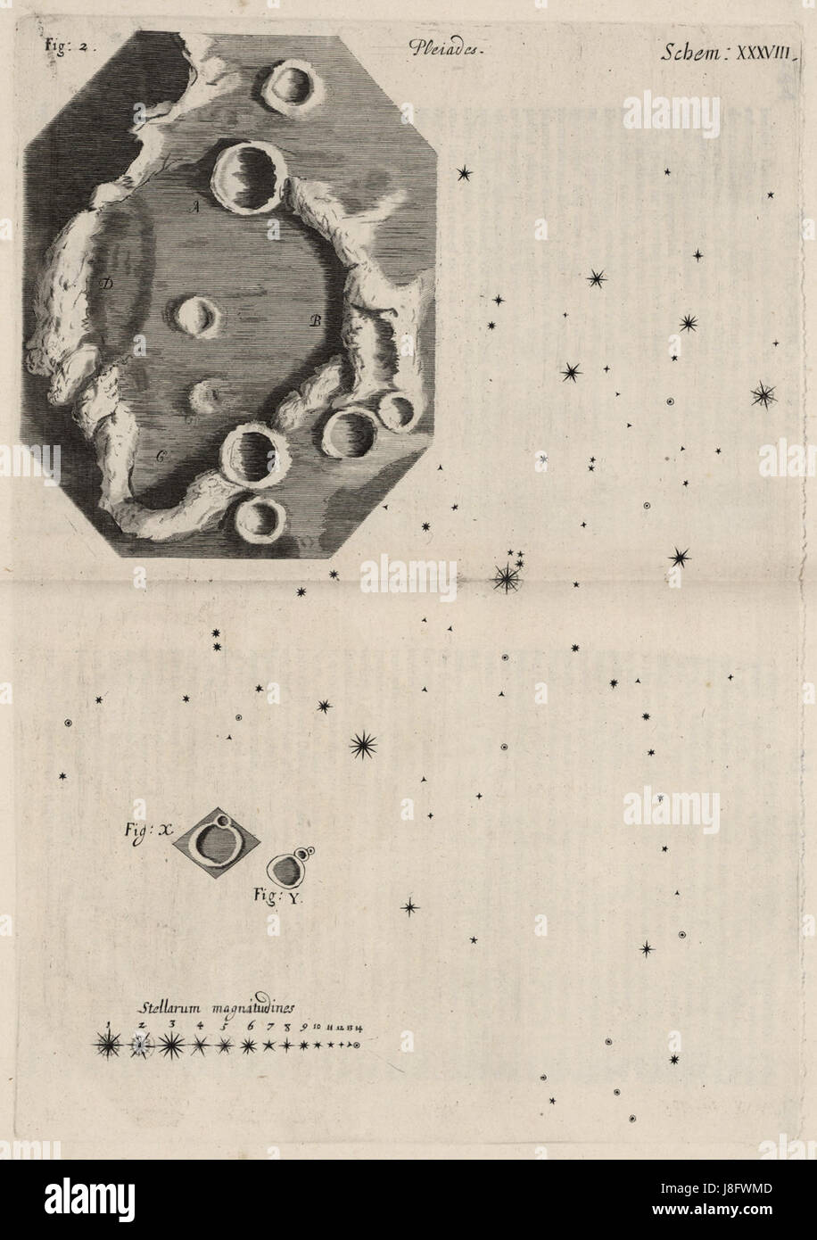Micrographia Schem 38 likely refers to a specific diagram or image from ...