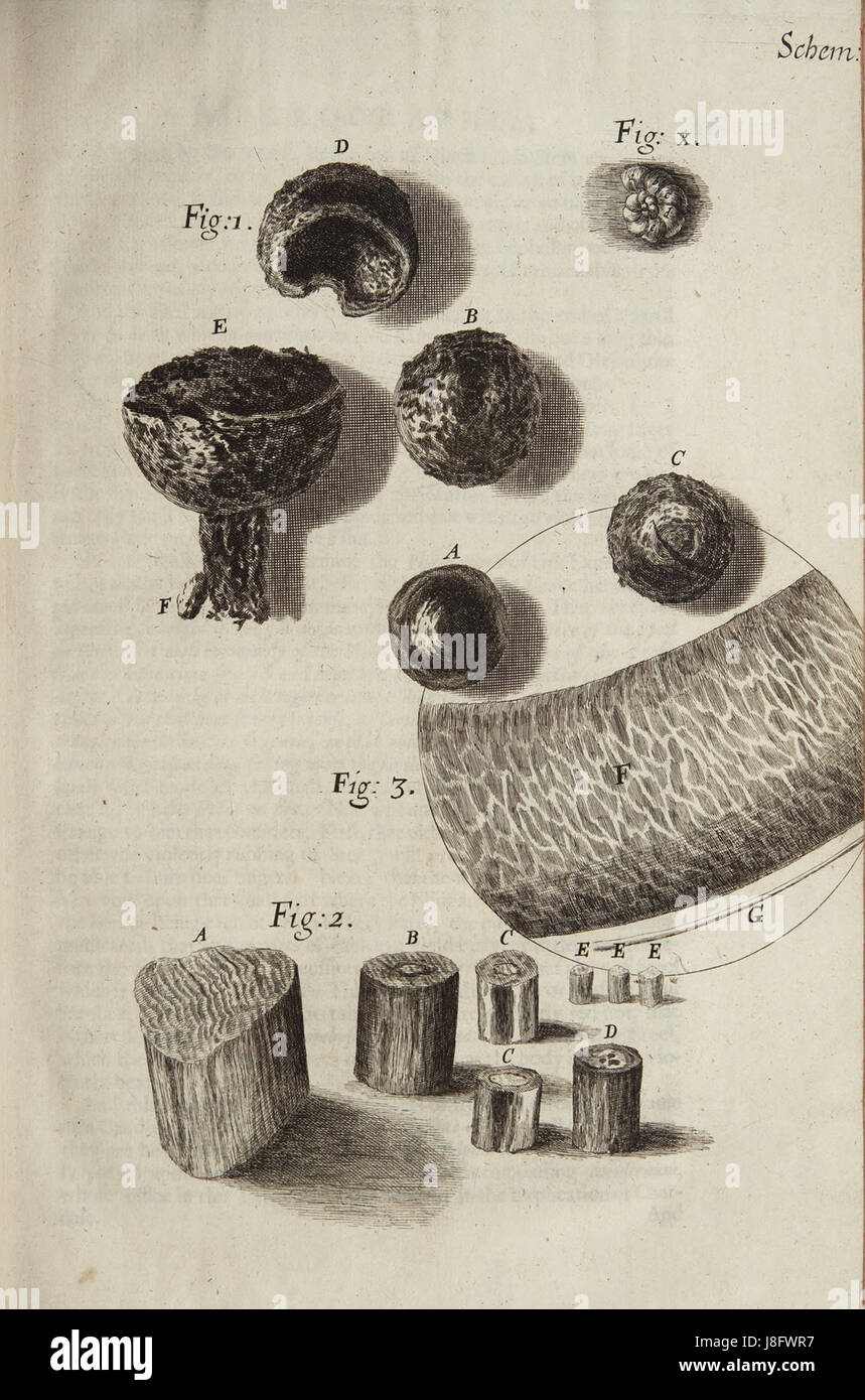 Micrographia Schem 5 Stock Photo - Alamy