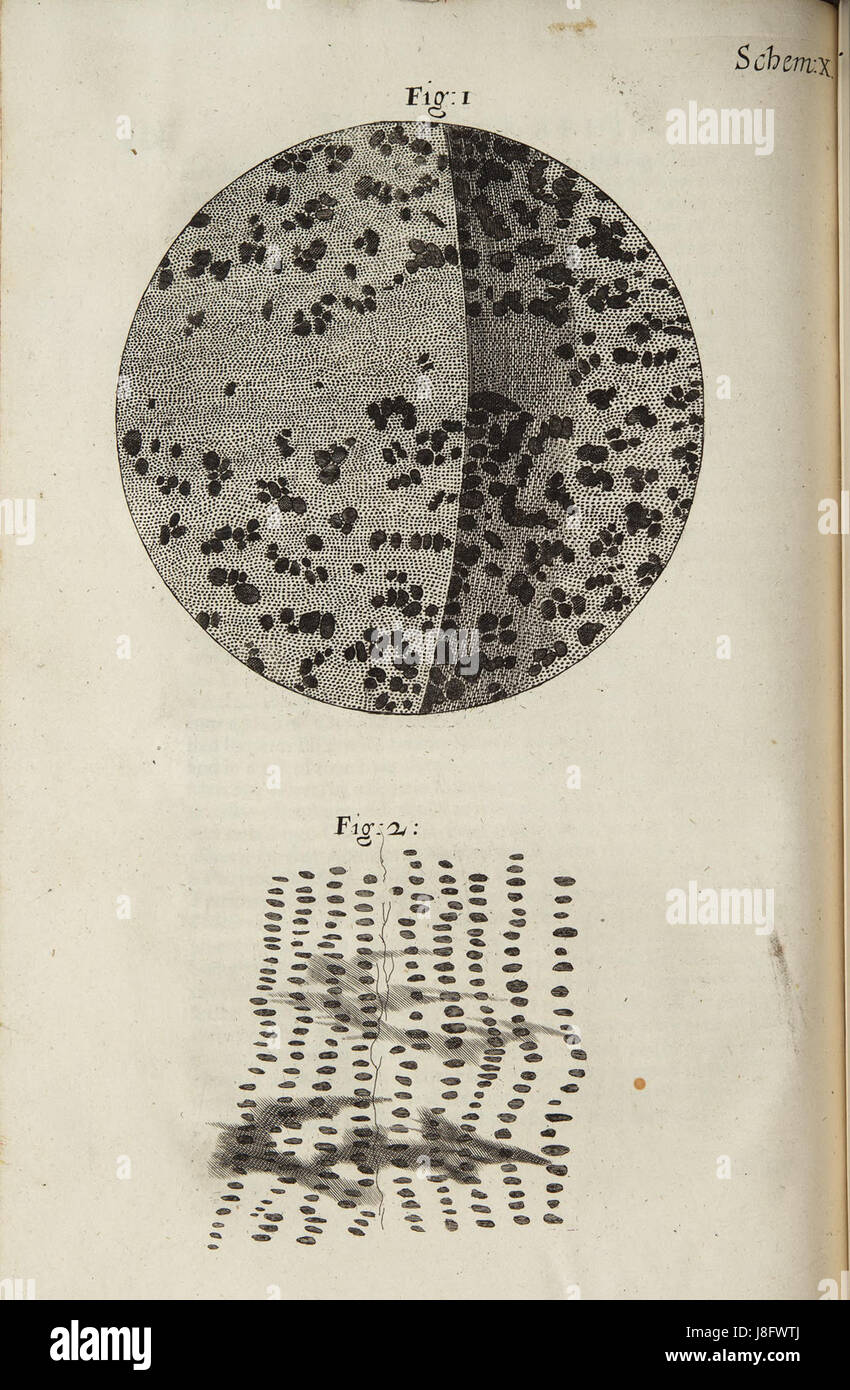 Micrographia Schem 10 refers to a work or depiction from the 17th ...