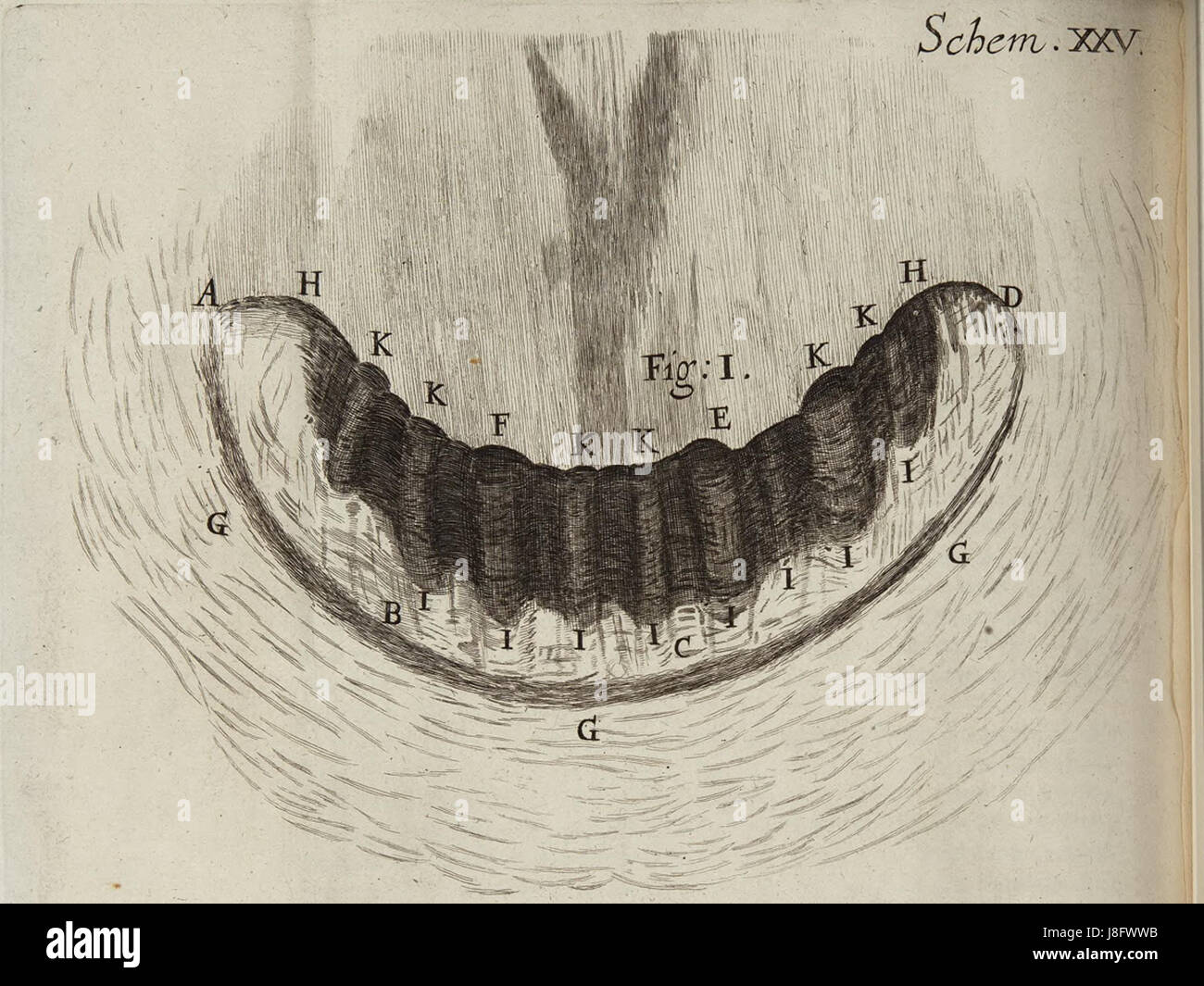 Robert hooke's microscope hi-res stock photography and images - Alamy