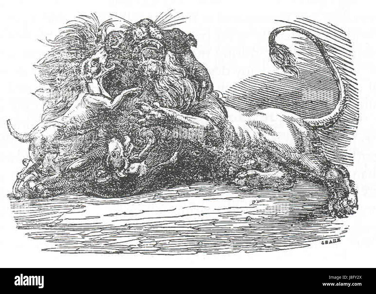 Lion photograph Cut Out Stock Images & Pictures - Alamy