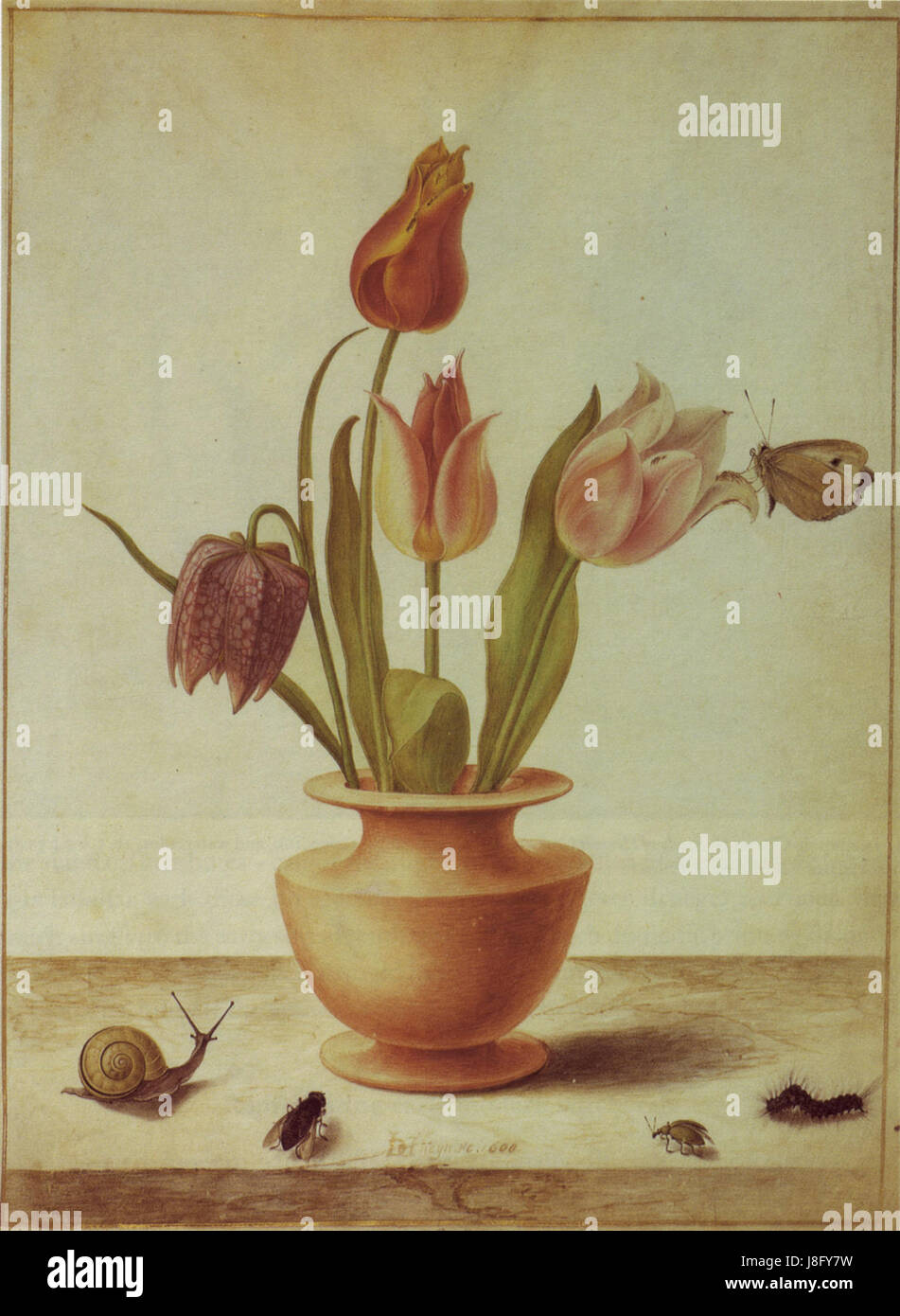 Flowers drawings hi-res stock photography and images - Alamy