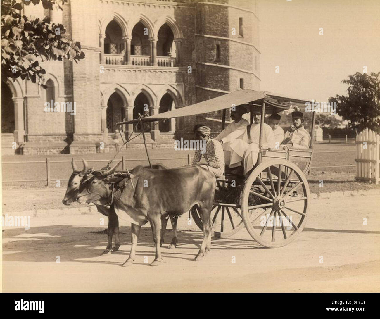 This image features men riding a bullock cart in India, a traditional ...