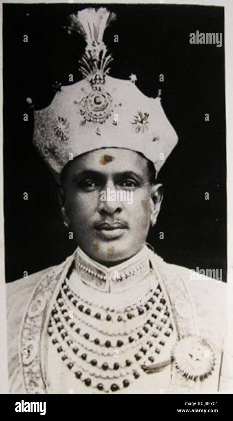 Maharajah of alwar hi-res stock photography and images - Alamy