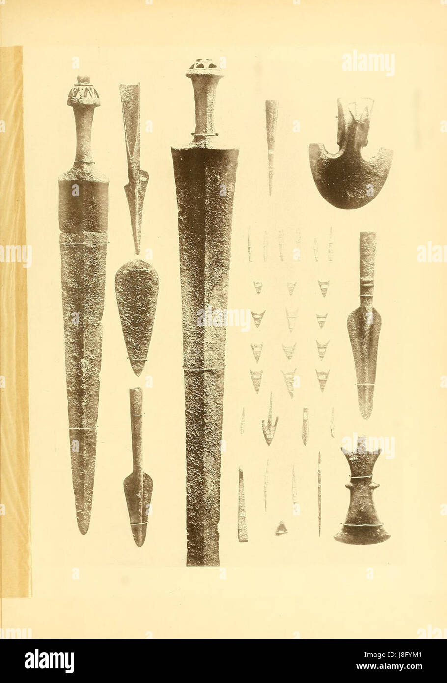 Radde hi-res stock photography and images - Alamy