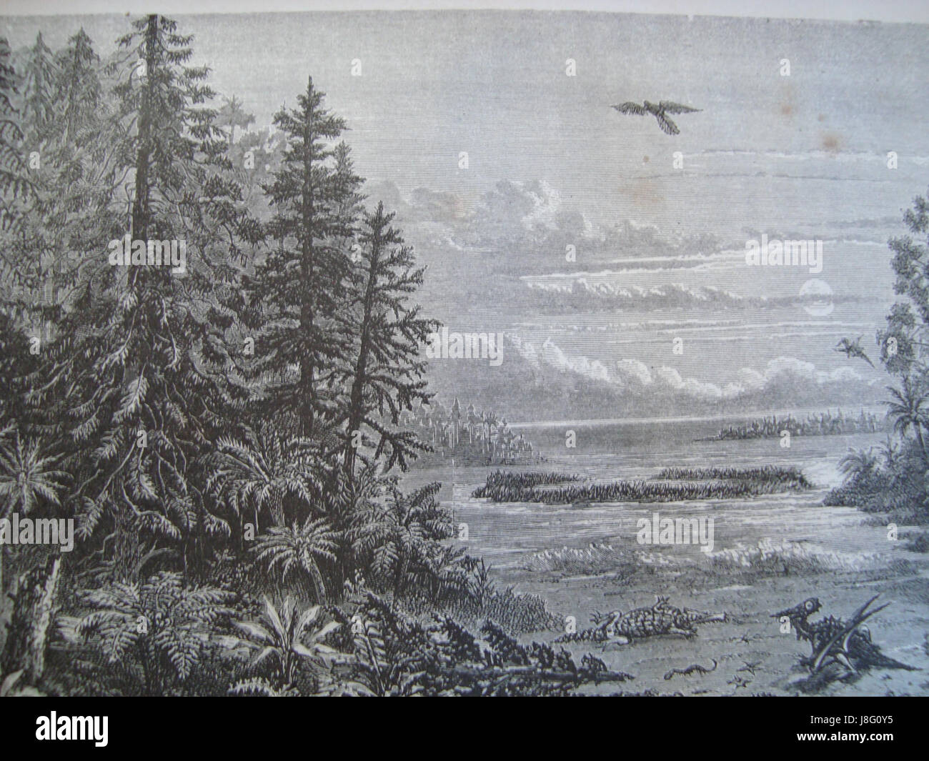 Mesozoic life hi-res stock photography and images - Alamy